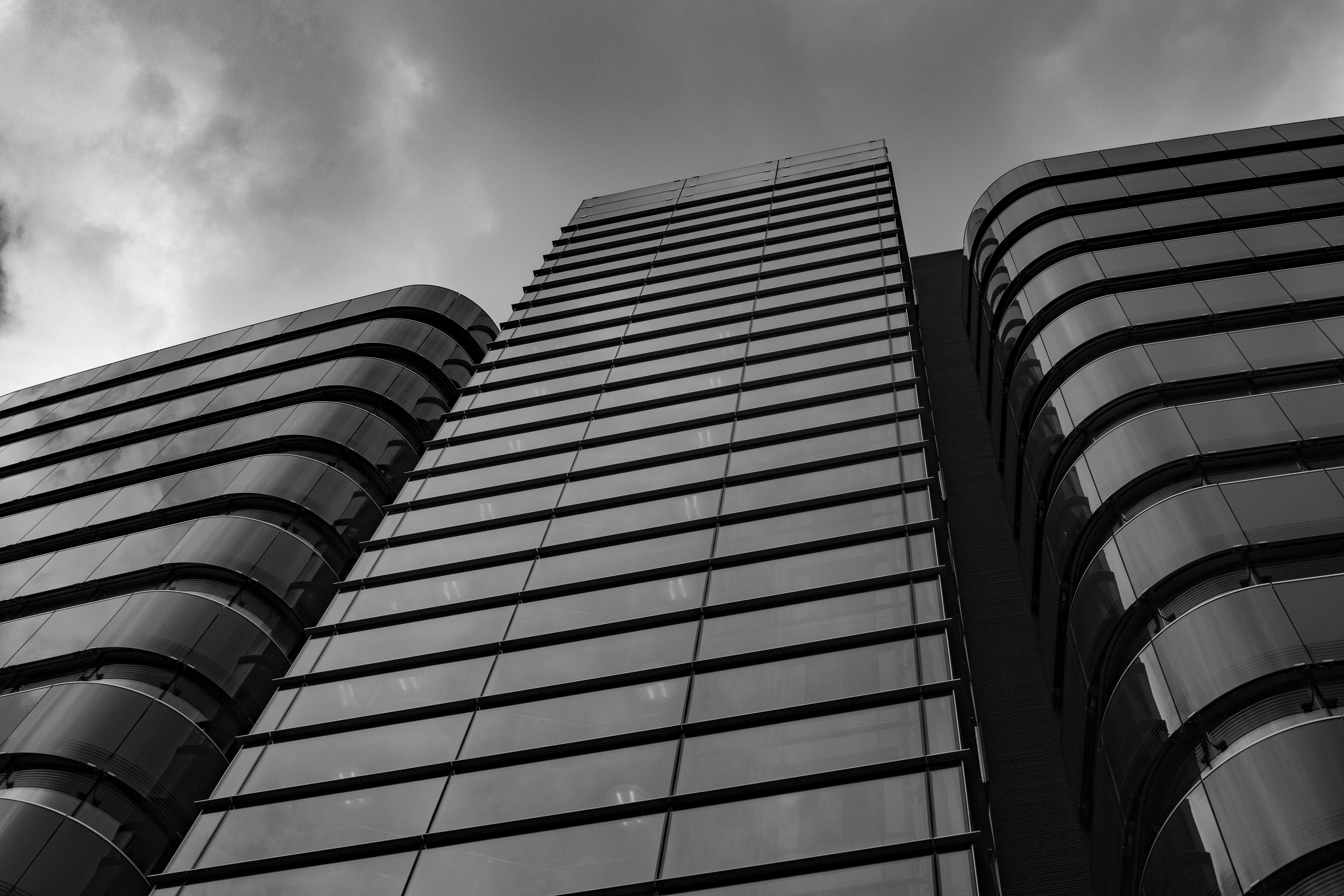 Photo by Robin the Bird with Canon EOS 700D