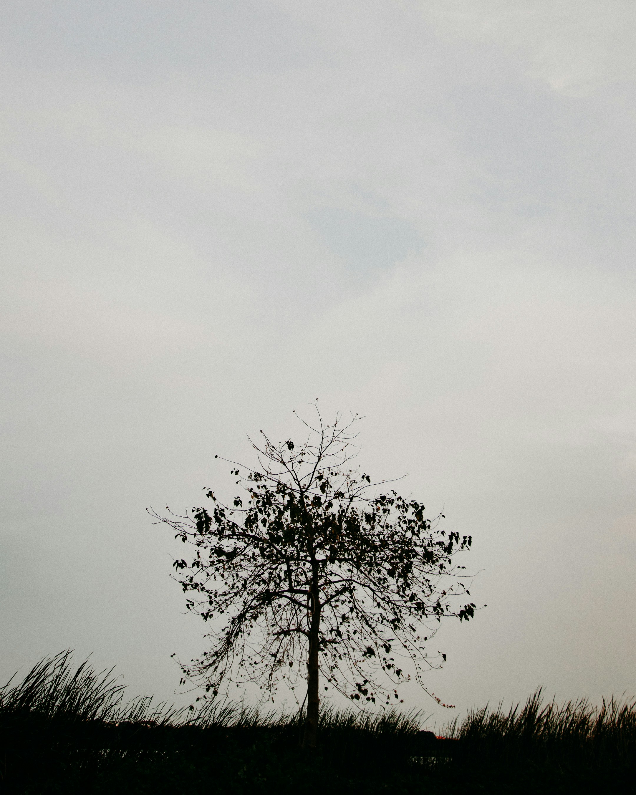 Isolation 