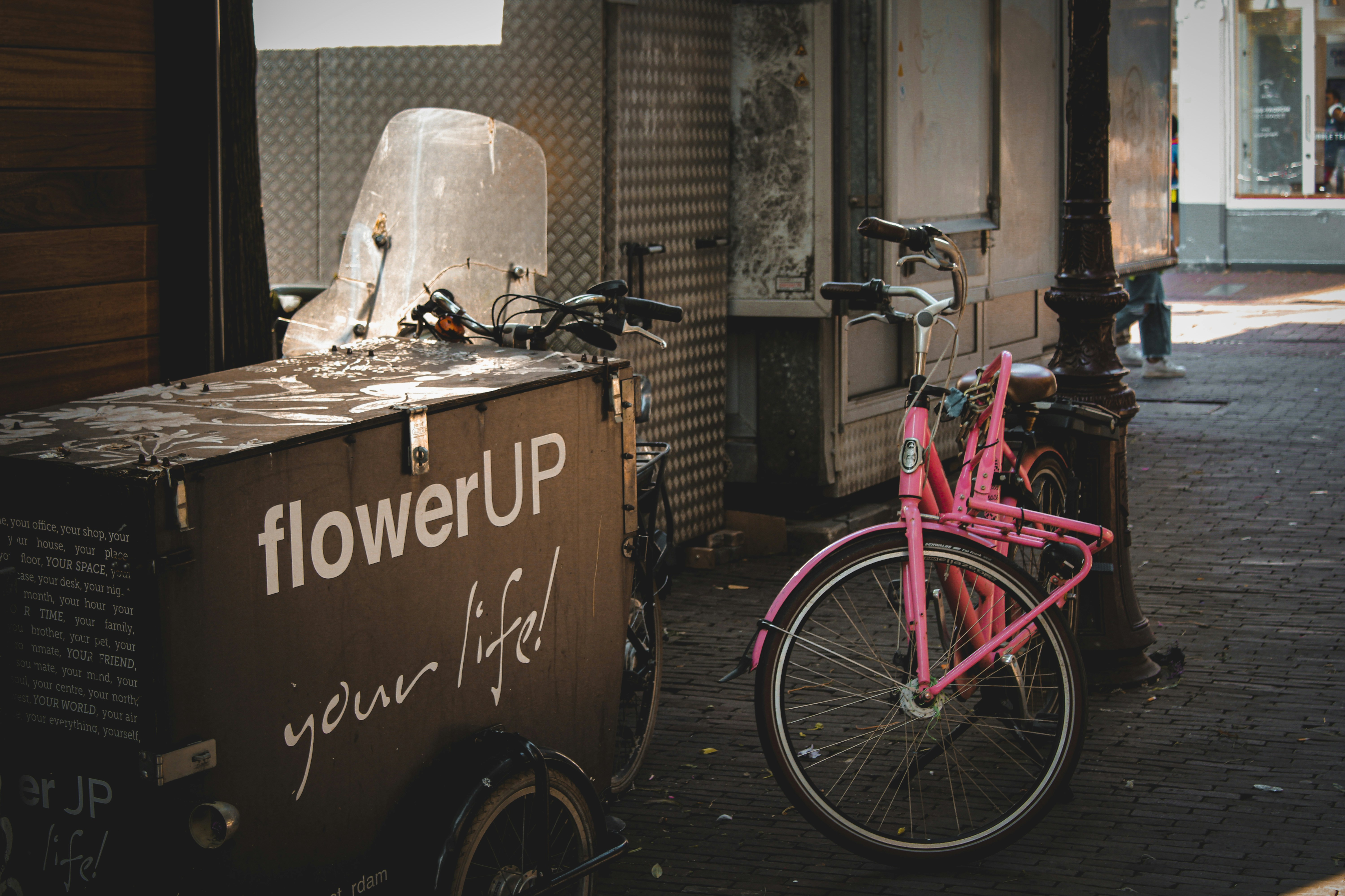 Pink Cruiser by the Flower Cart: An Urban Quiet Moment