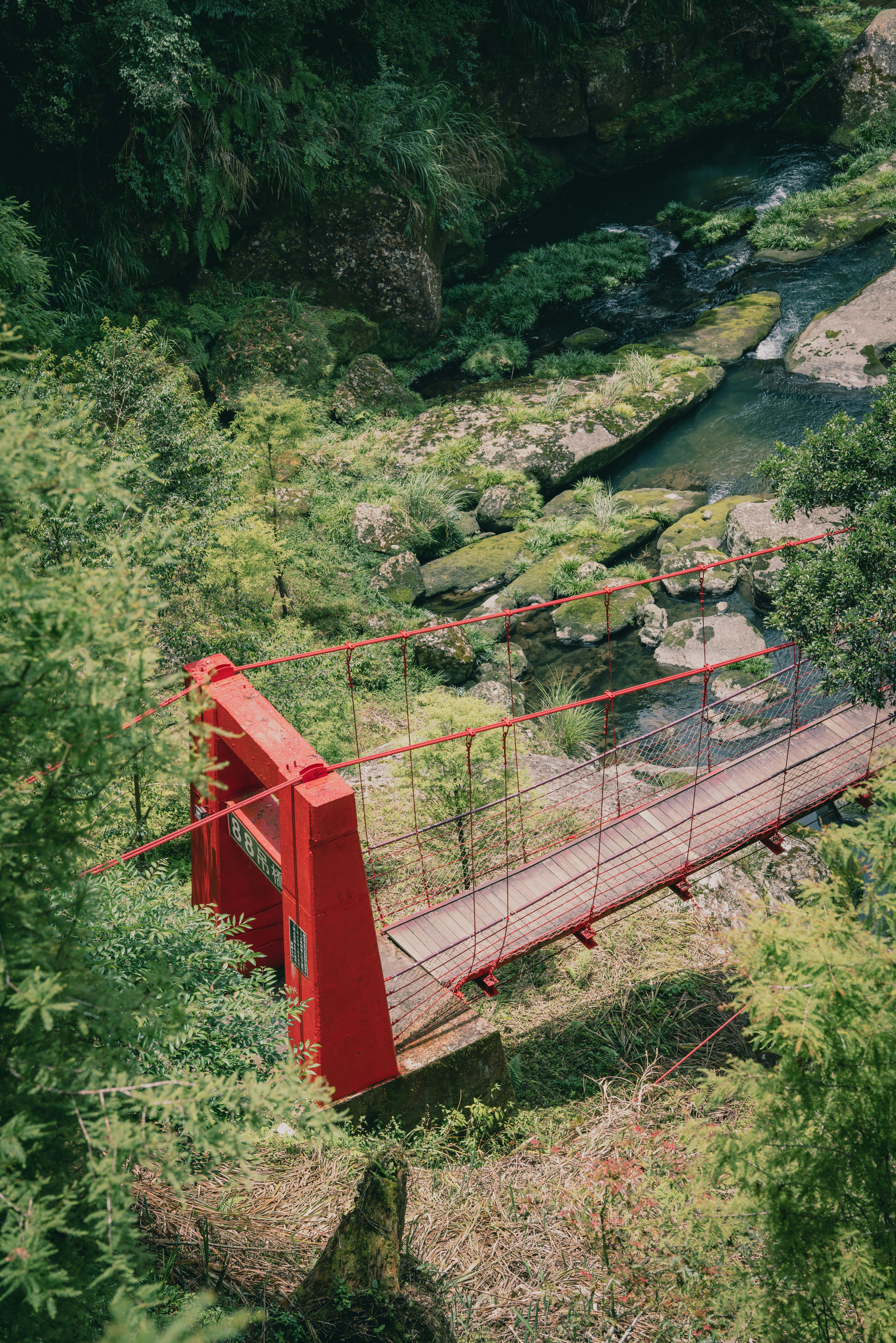 Suspension bridge painted in vibrant red spans a tranquil stream, surrounded by lush greenery and moss-covered rocks.