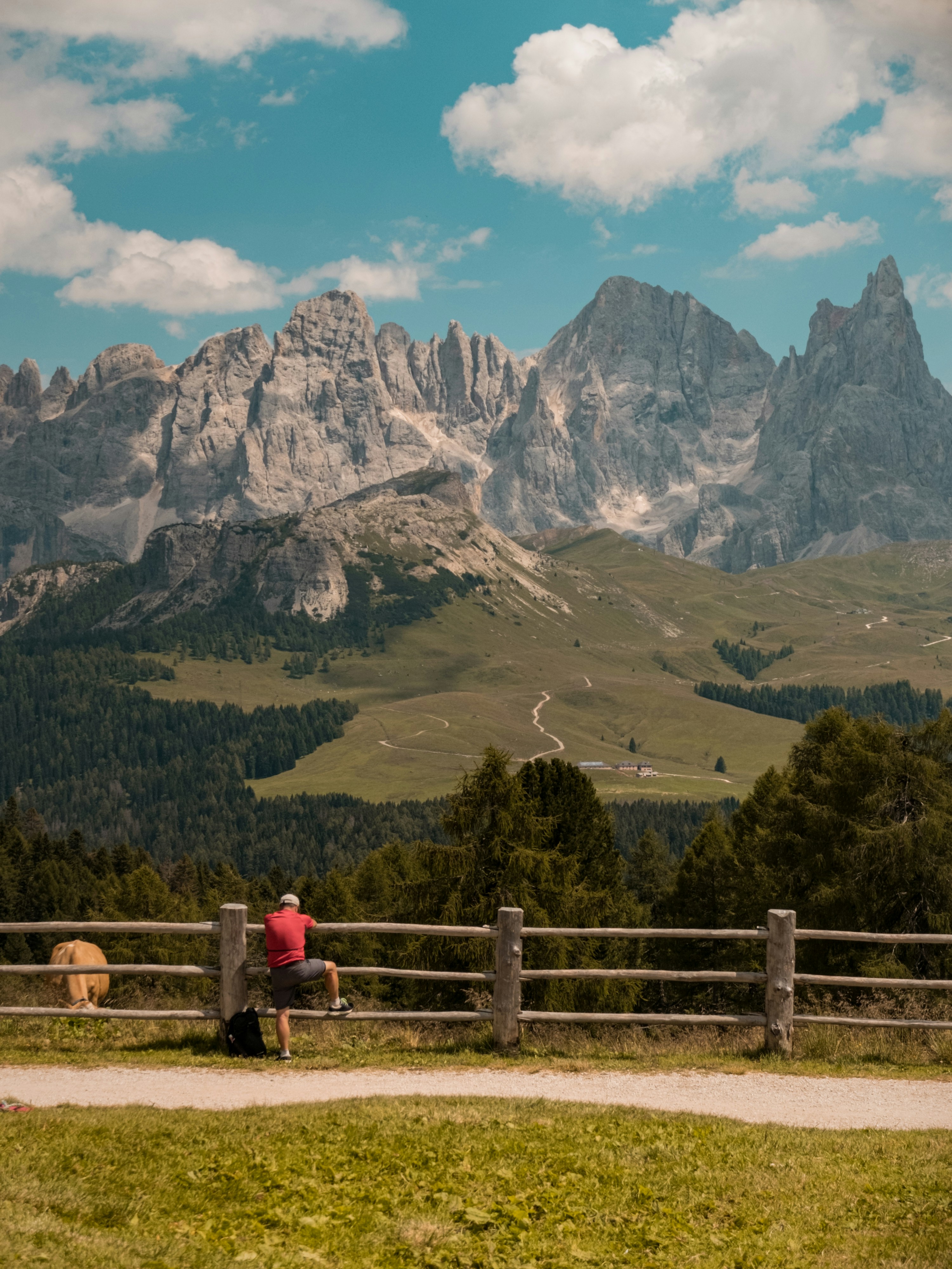 A lone figure sits on a fence, gazing at the towering mountains and lush landscape, embodying tranquility in nature.