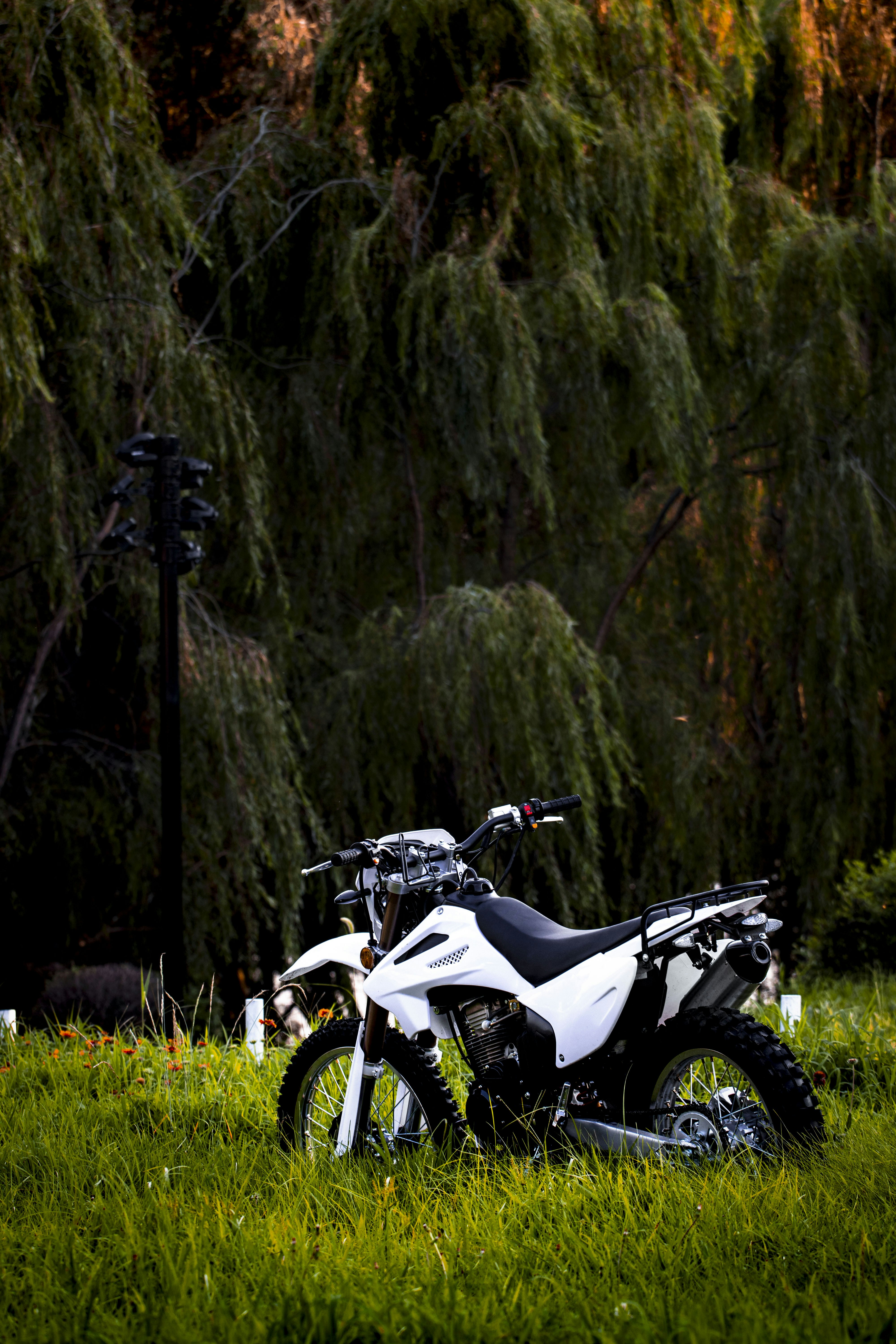 A white dirt bike rests in a lush green field, surrounded by tall, swaying trees, hinting at untold adventures ahead.