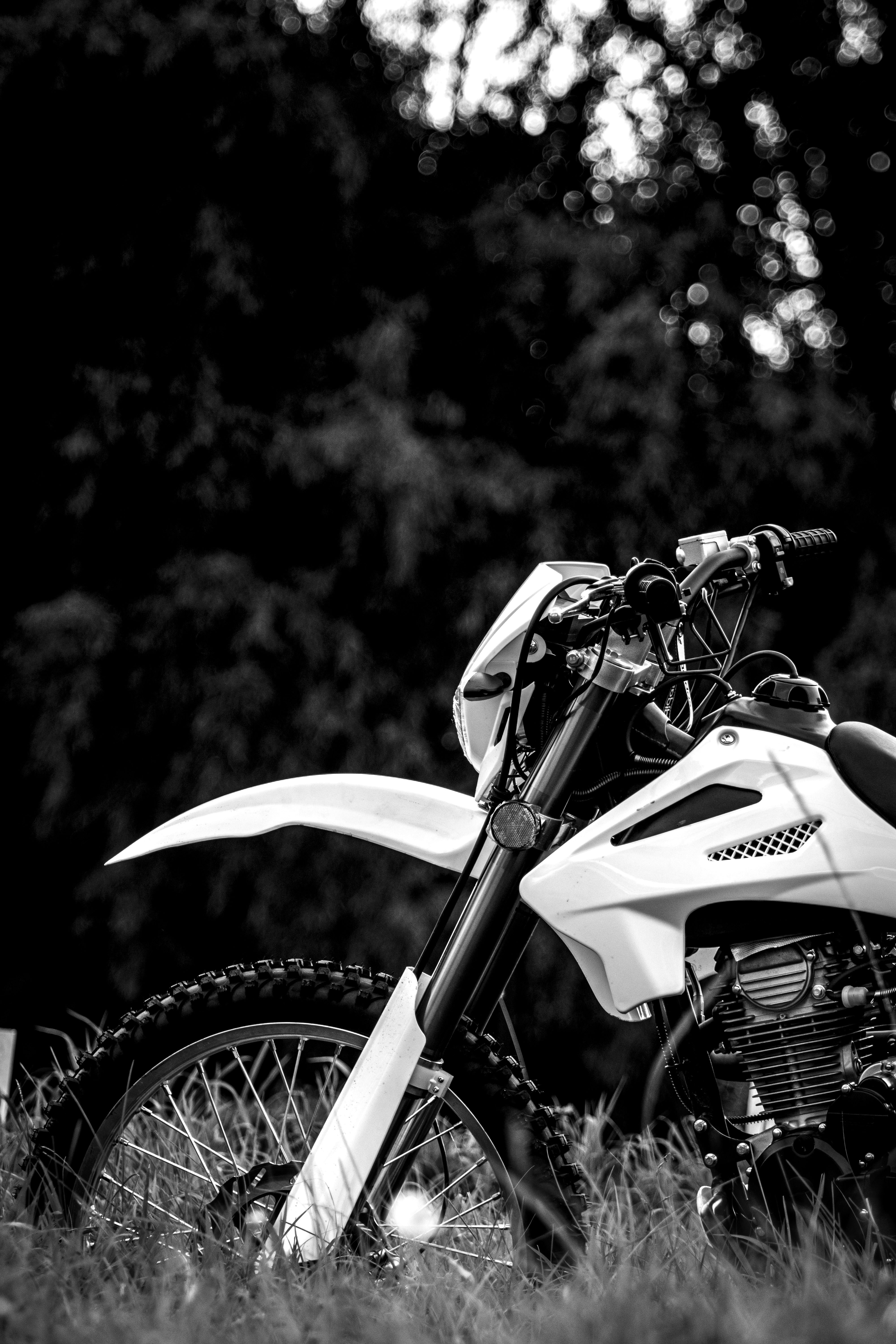 Monochrome Front End: A Dirt Bike Resting in Tall Grass