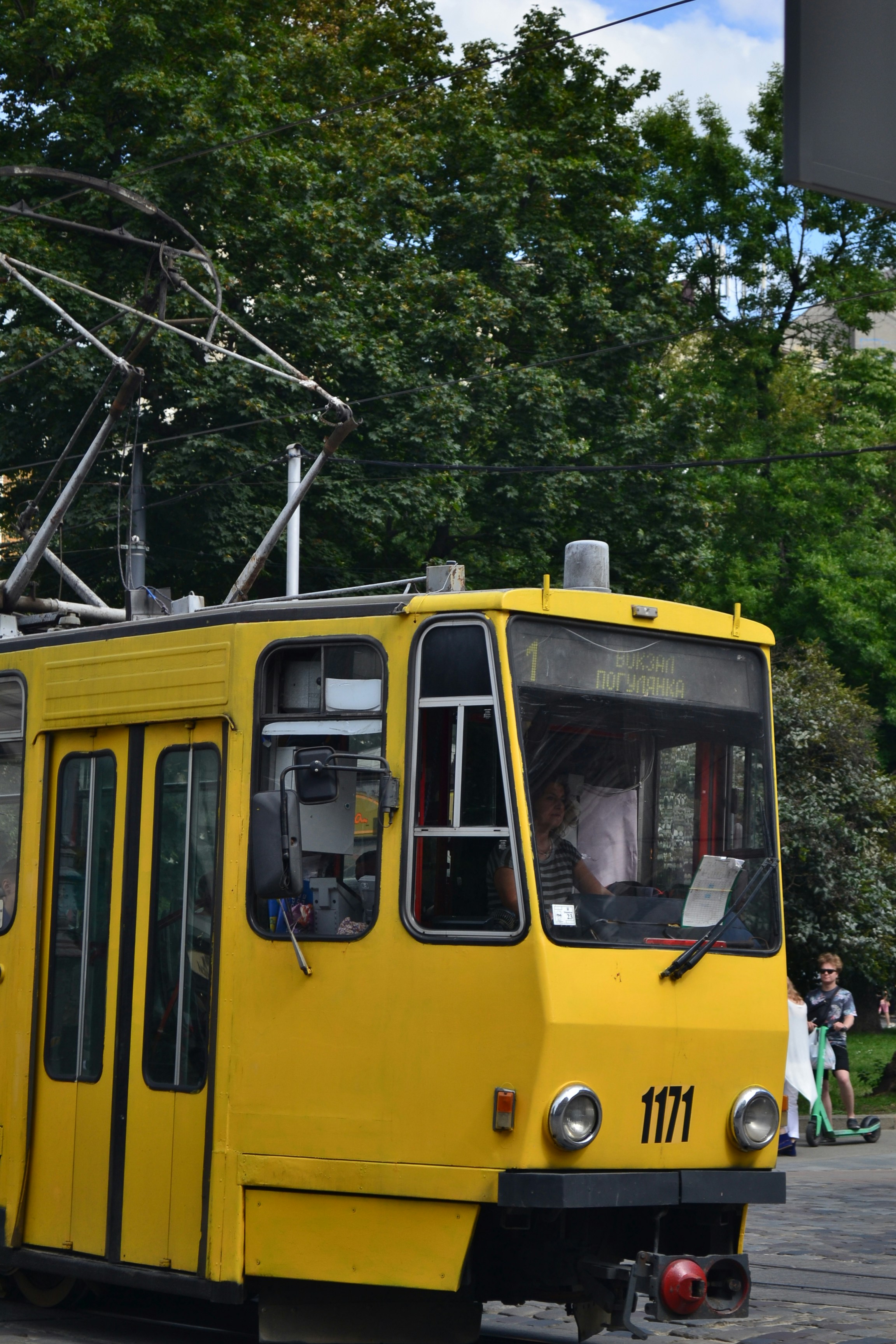 Sunlit Yellow Tramfront Framed by a Green Urban Canopy