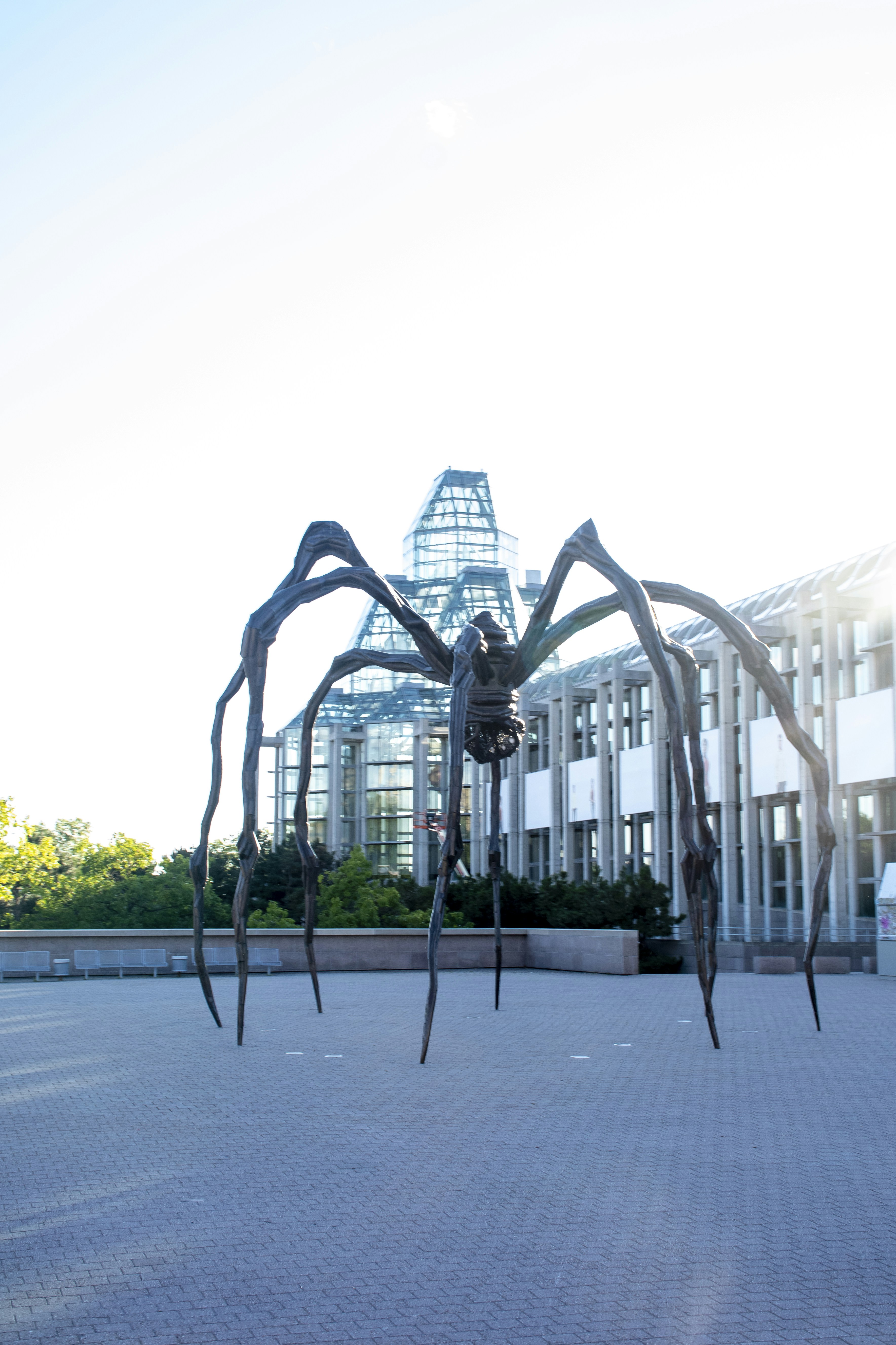 Giant Spider Sculpture Anchors a Sunlit Plaza
