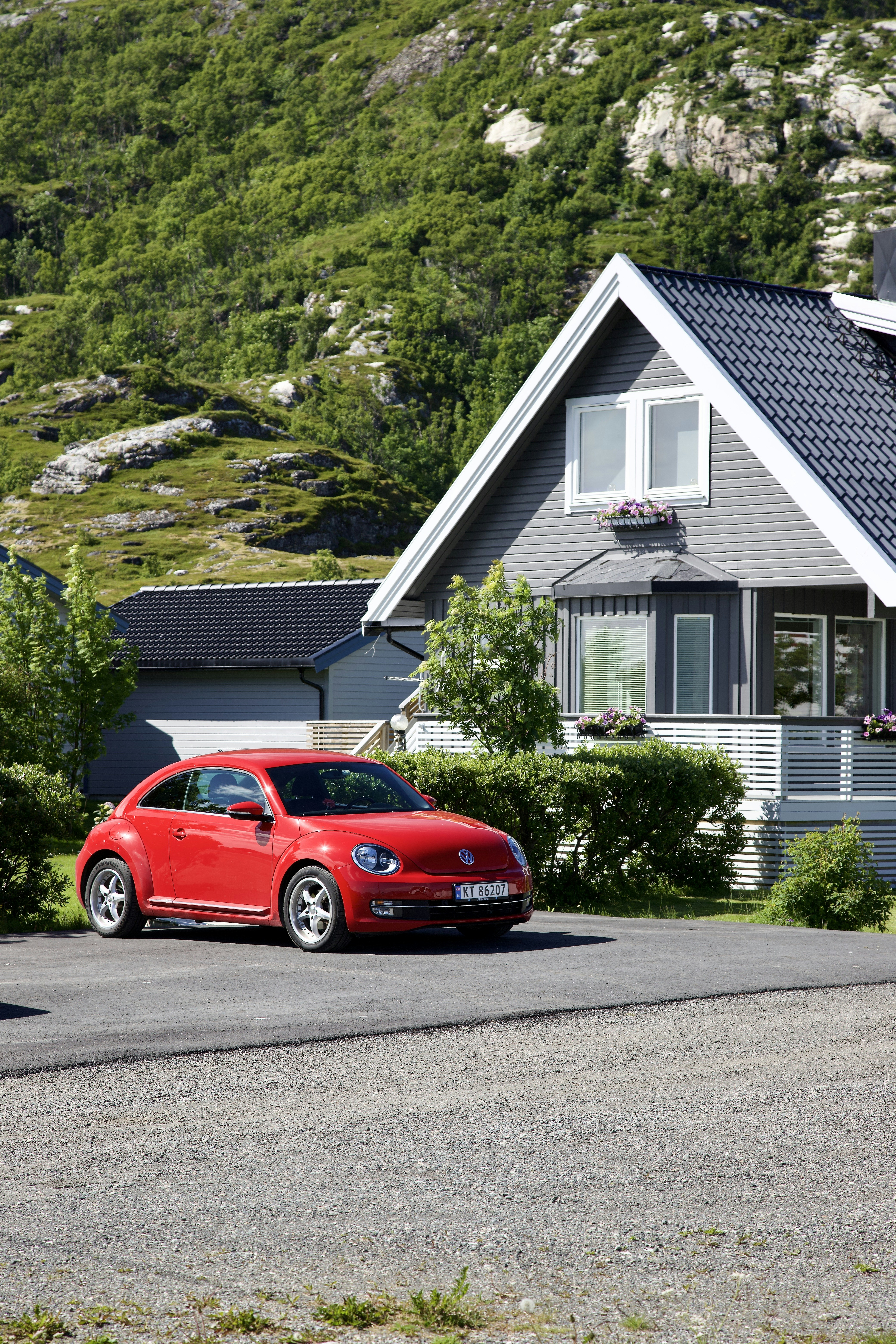 Crimson Beetle Framed by a Steep Gable and Alpine Greenery
