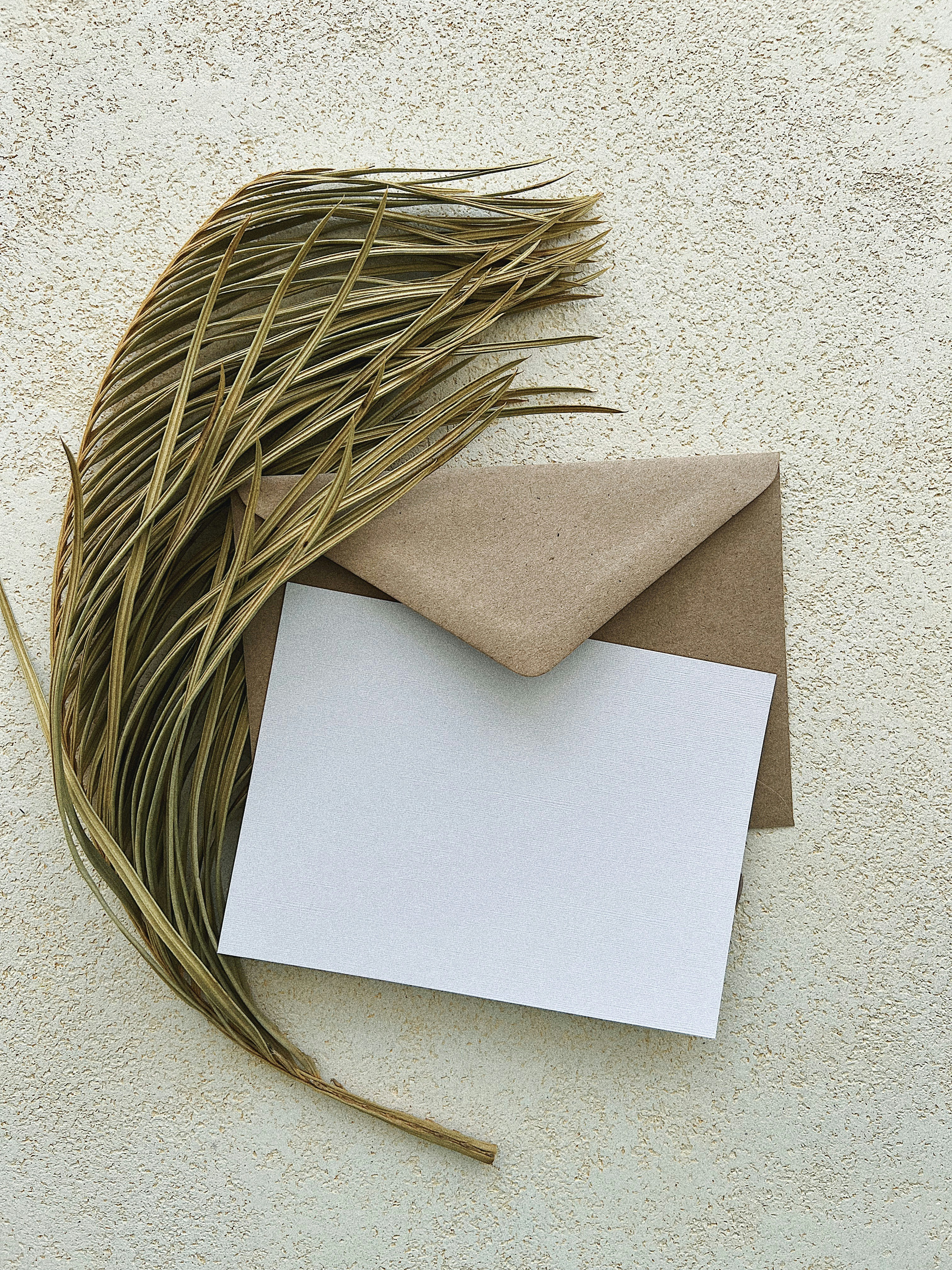 A minimalist composition featuring a brown envelope and a blank card, accompanied by dried grass, set against a textured background.