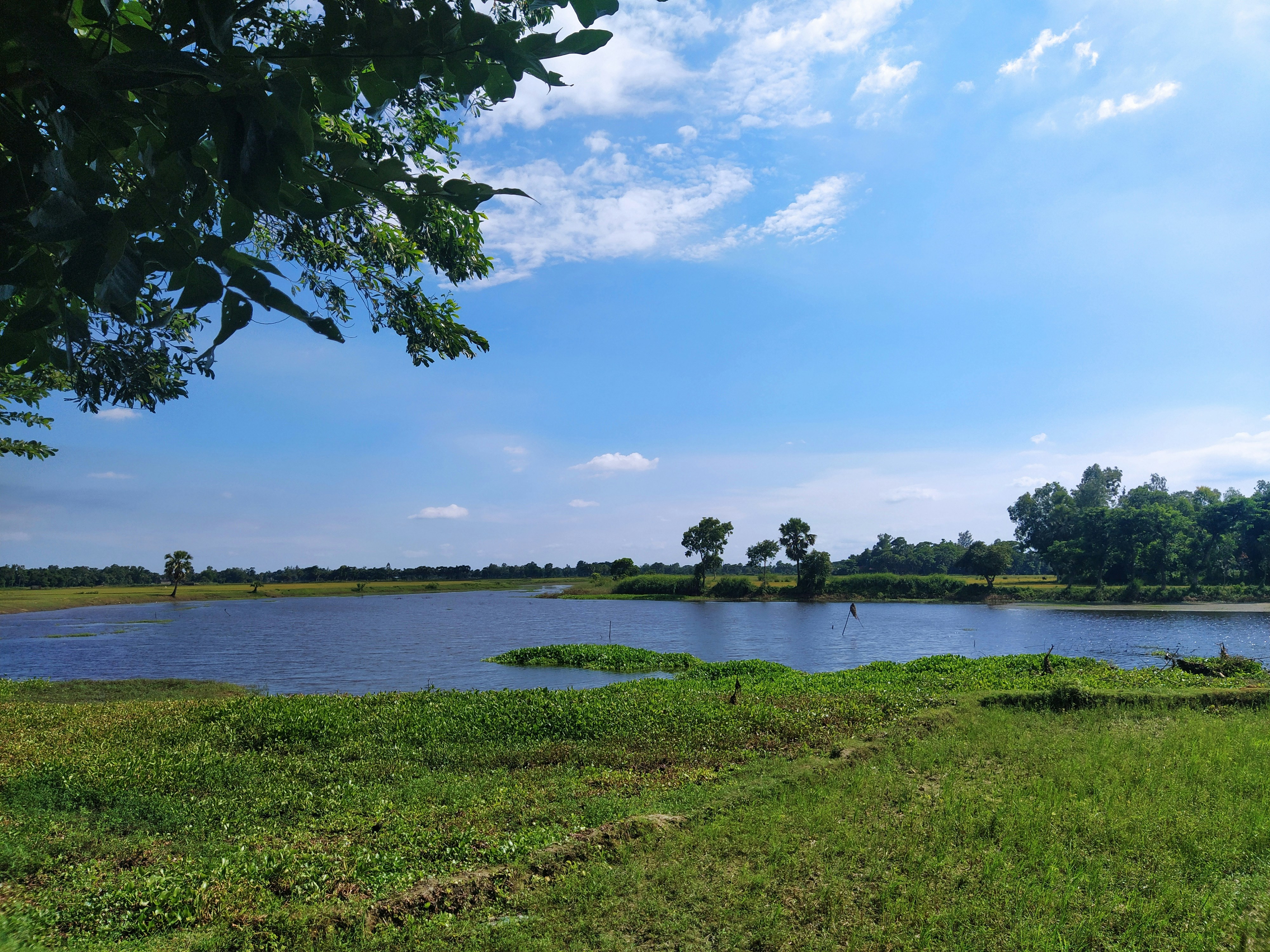 River and sky... | a body of water with grass and trees around it