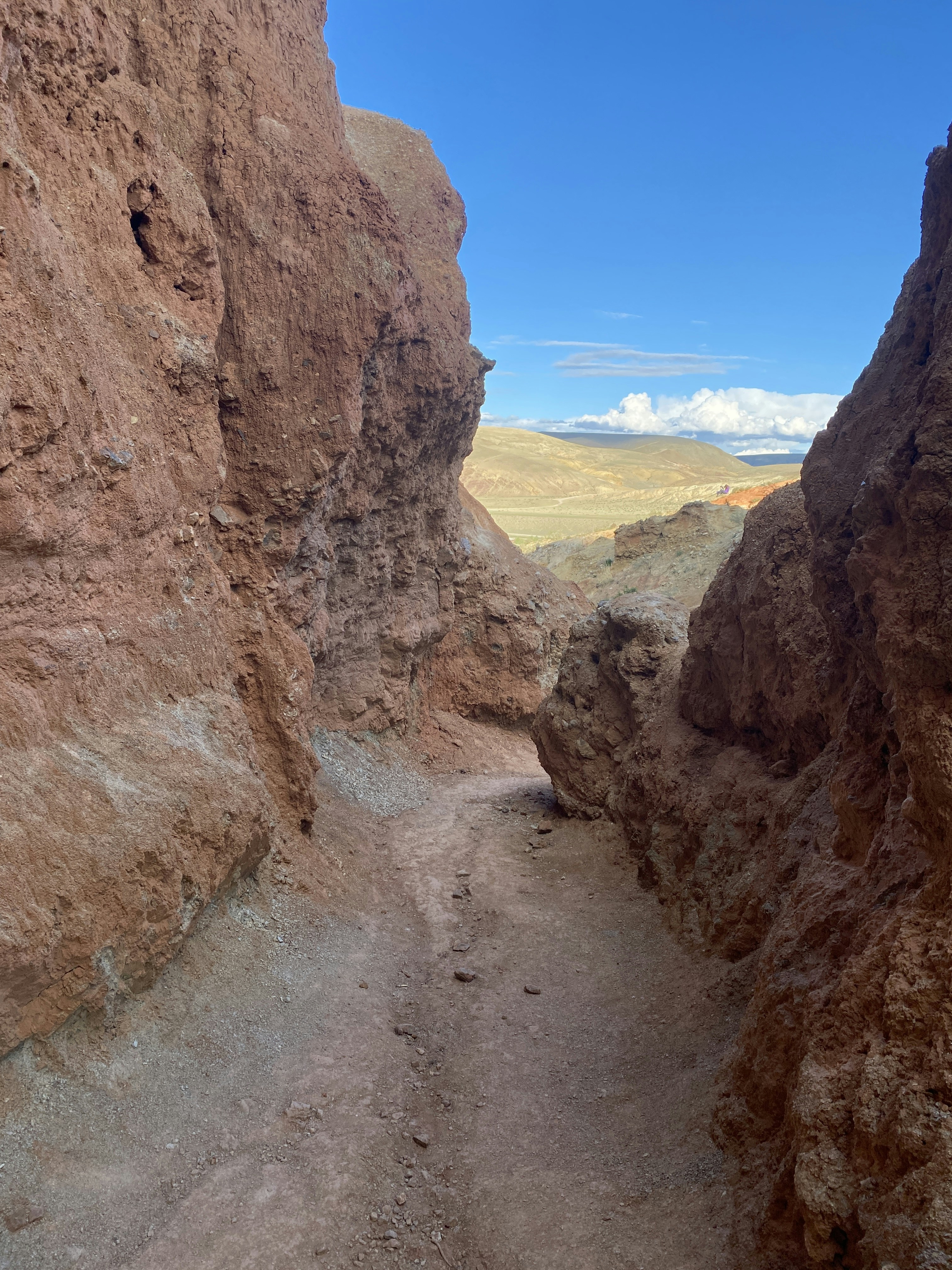 Photo by Julia Prokopovich with Apple iPhone 11