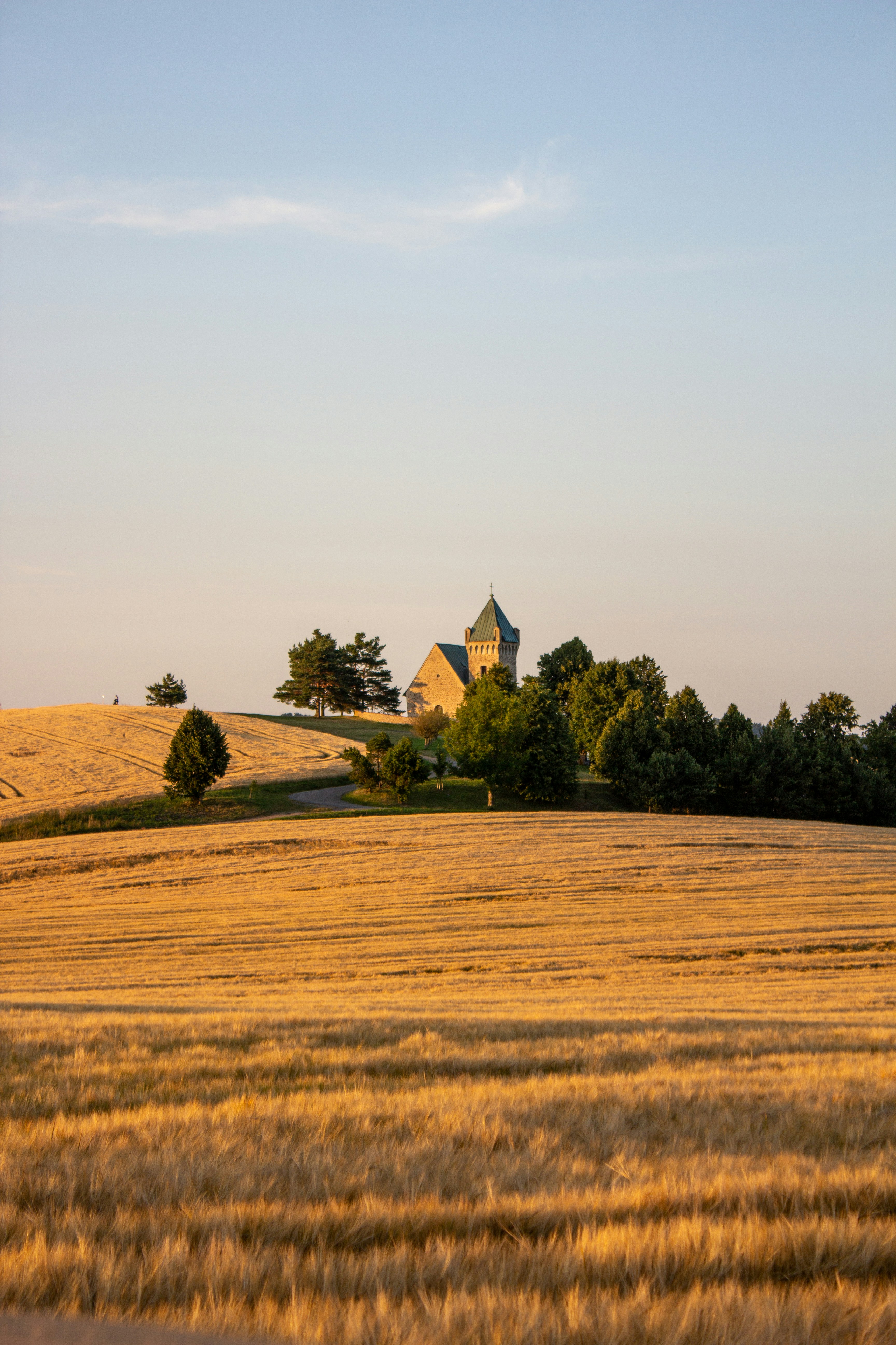 A serene landscape featuring golden wheat fields leading up to a charming building nestled among trees, bathed in warm evening light.