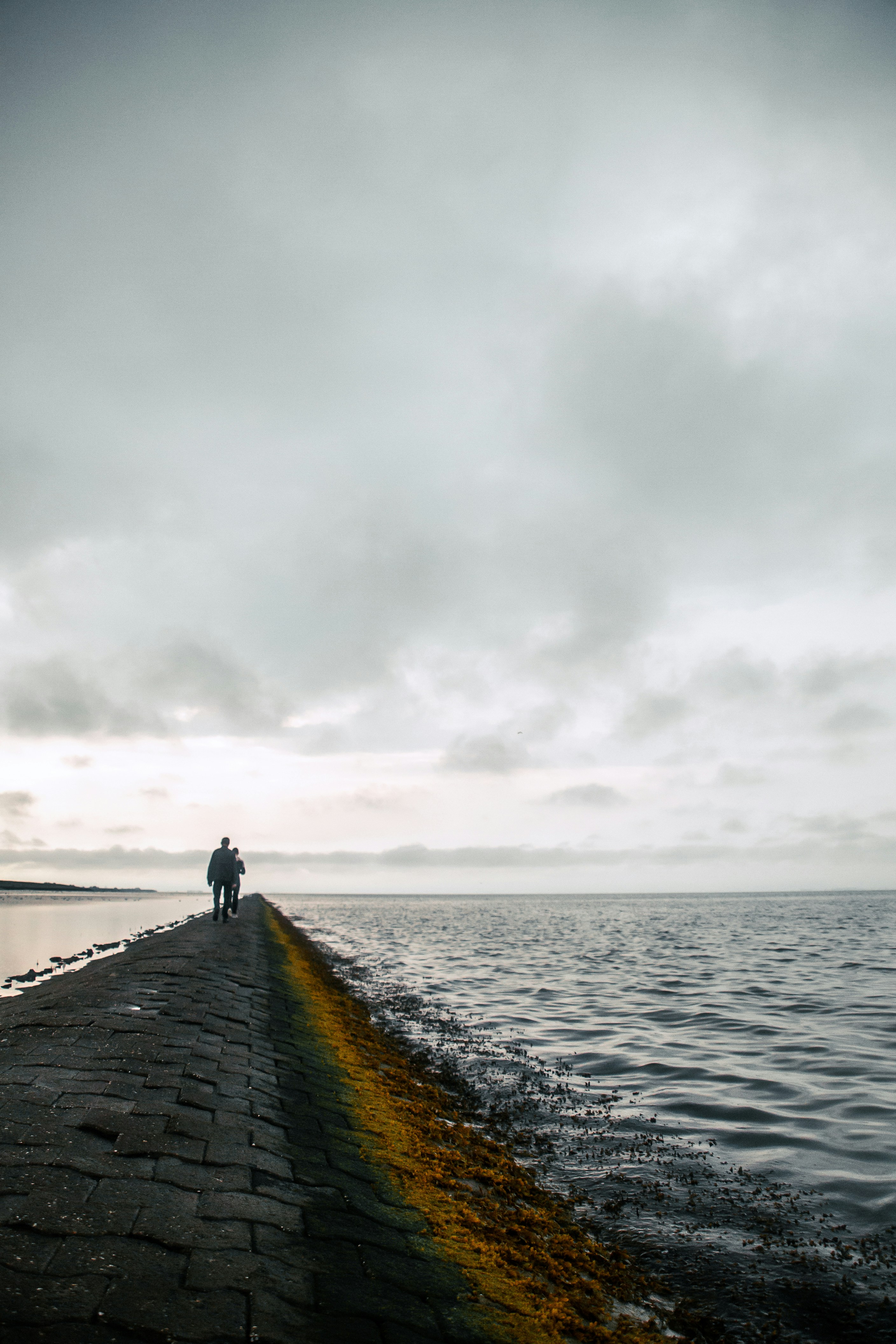 A person walking on a stone path by the water photo – Free North sea ...