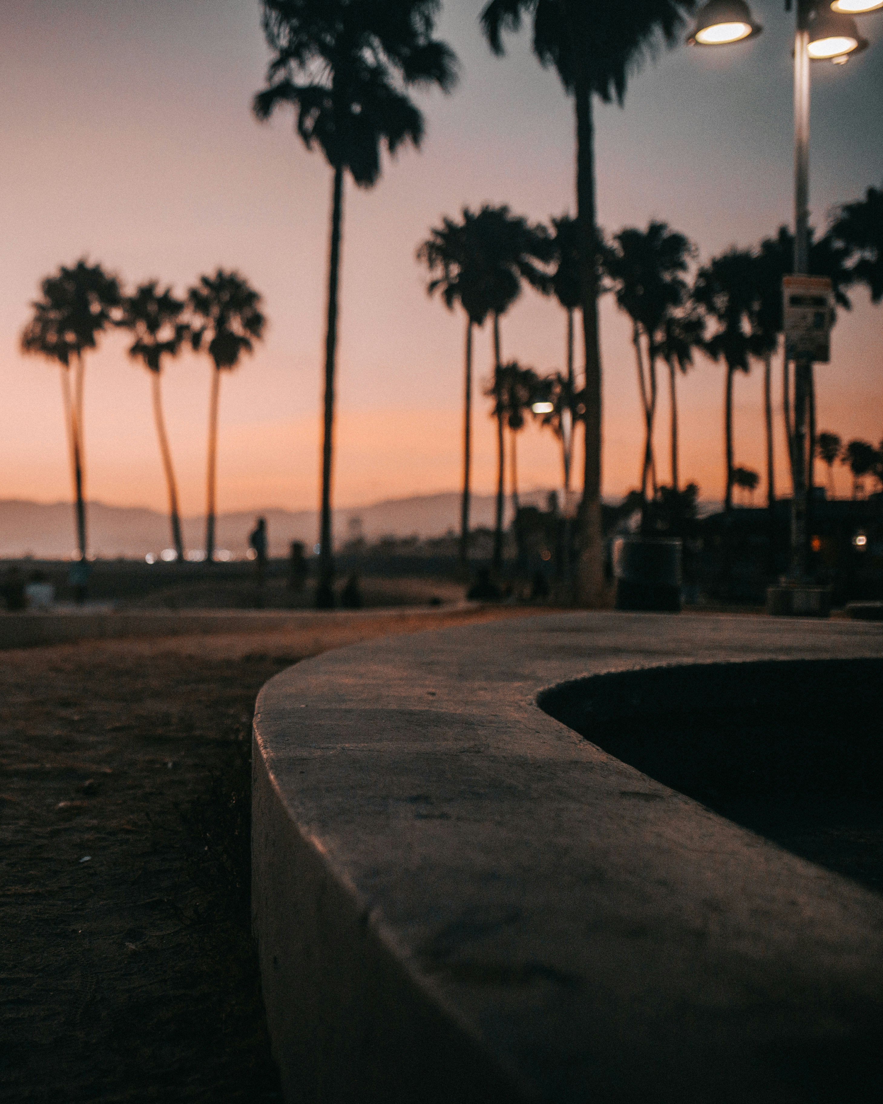 A skateboarder on a ramp photo – Free Venice beach Image on Unsplash