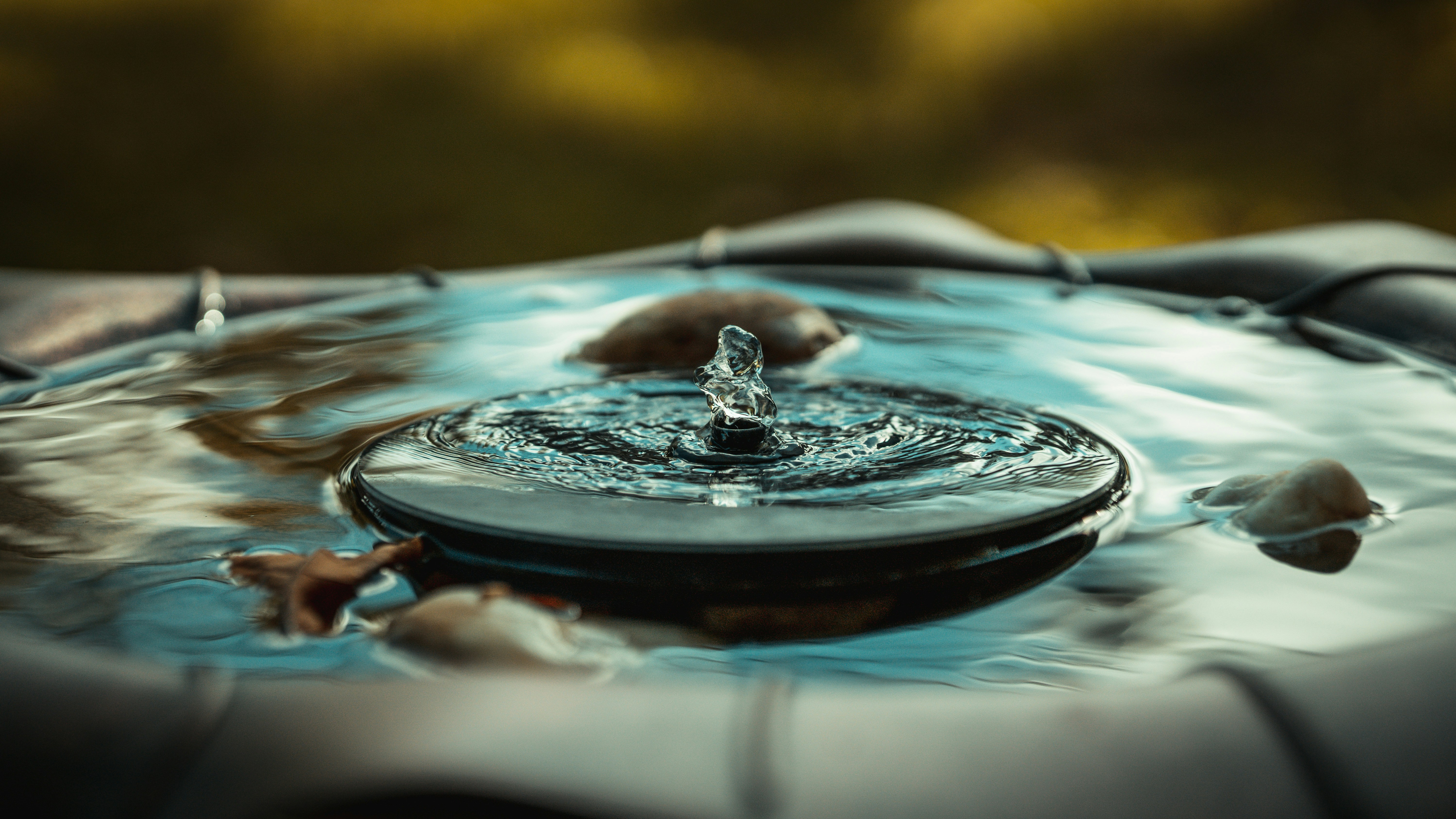 Water drops on a surface photo – Free Photo Image on Unsplash