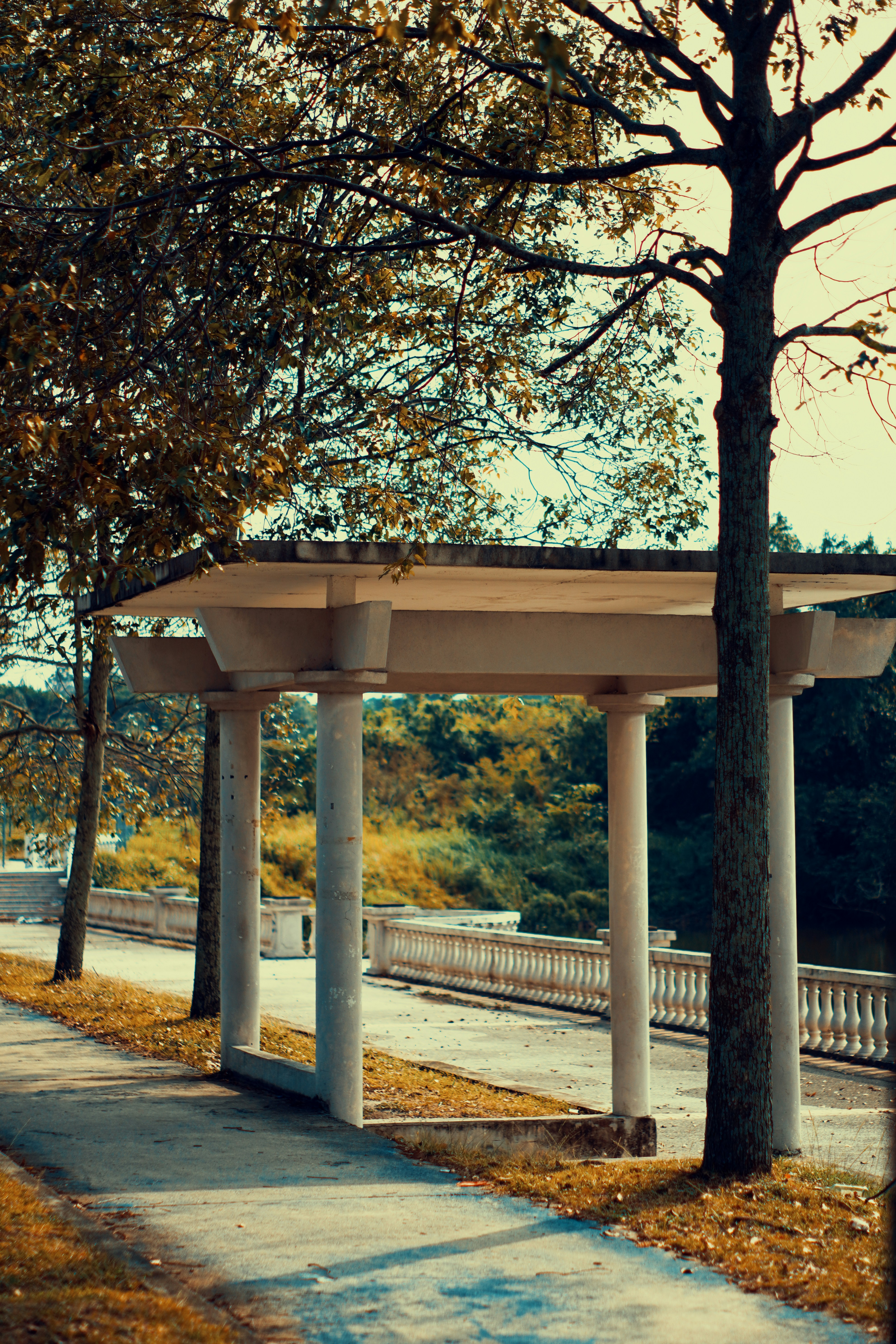 A wooden structure with trees around it photo – Free Patio Image on ...