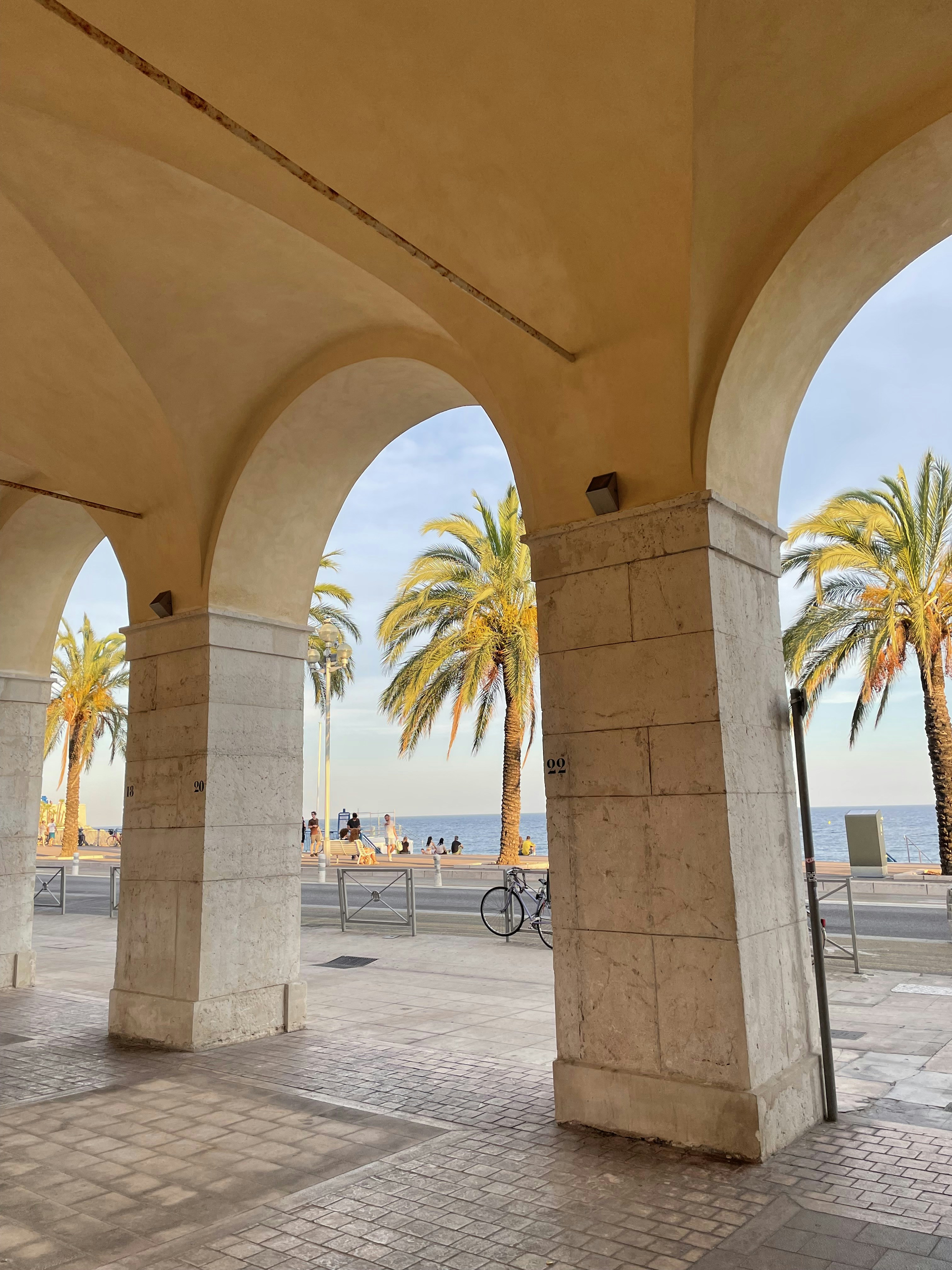 a stone walkway with pillars and palm trees