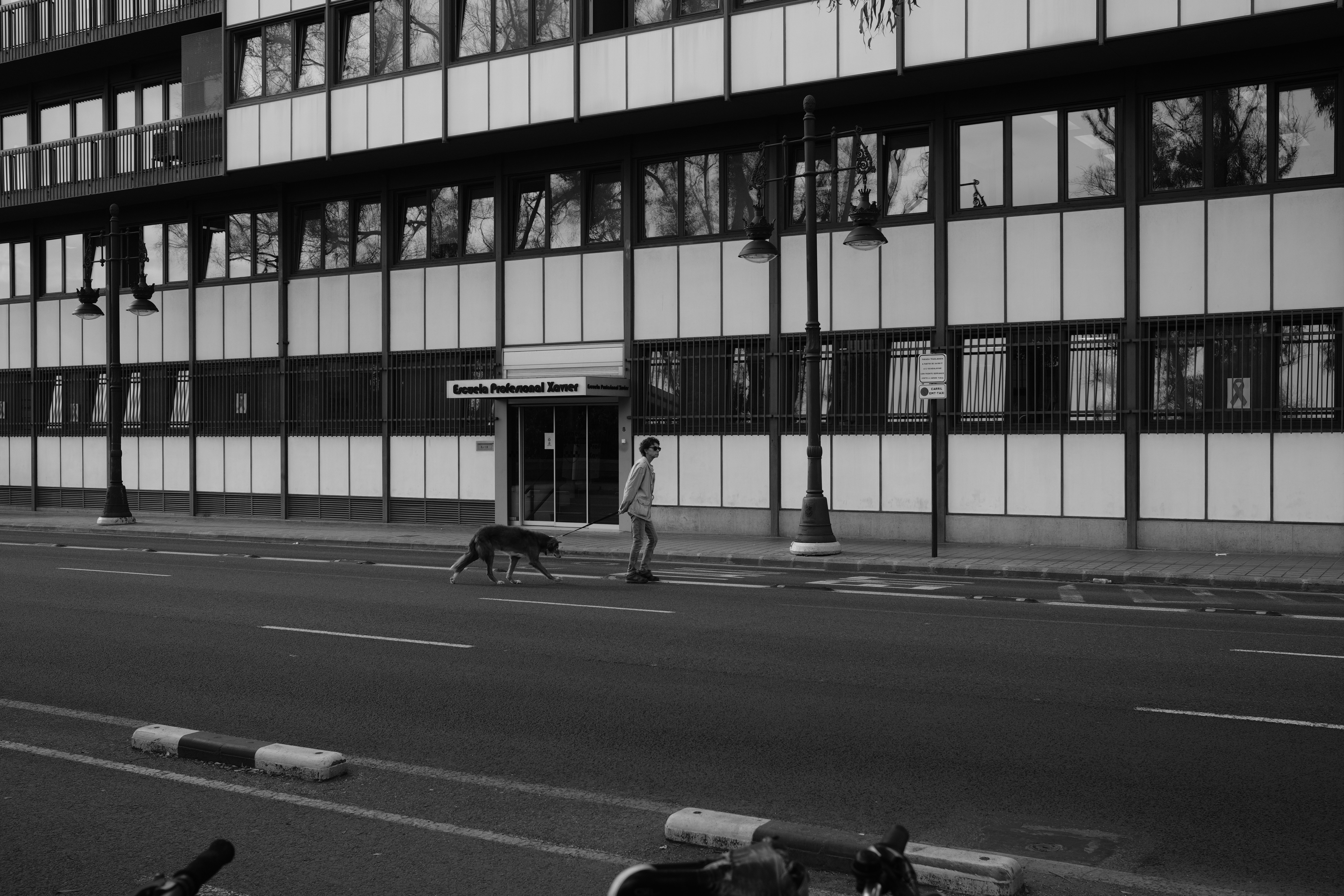 通りを歩く人と犬の写真 – Unsplashの都市の無料画像