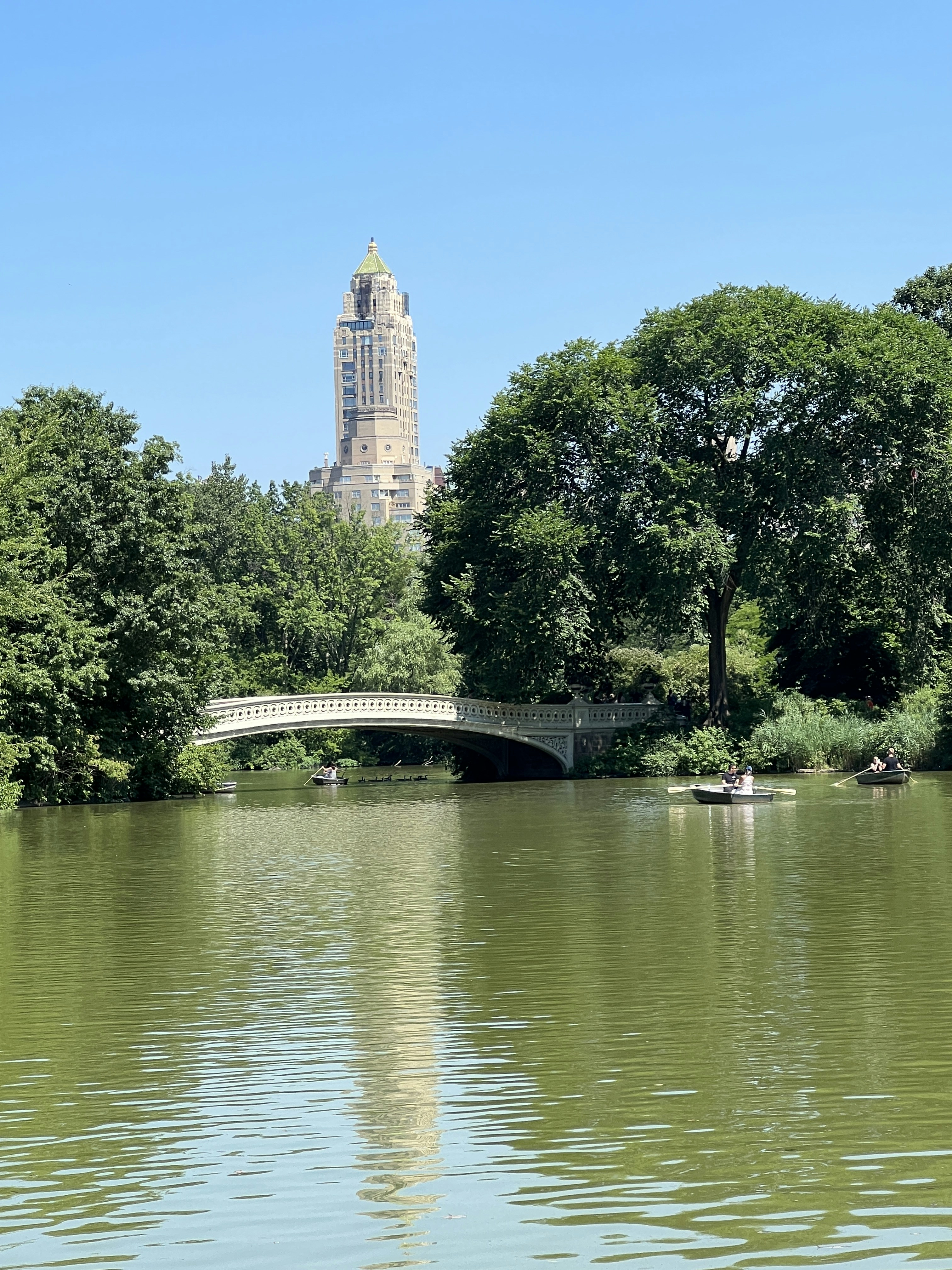 Tower Rising Over a Calm Riverside: A Green Canopy and Arched Bridge