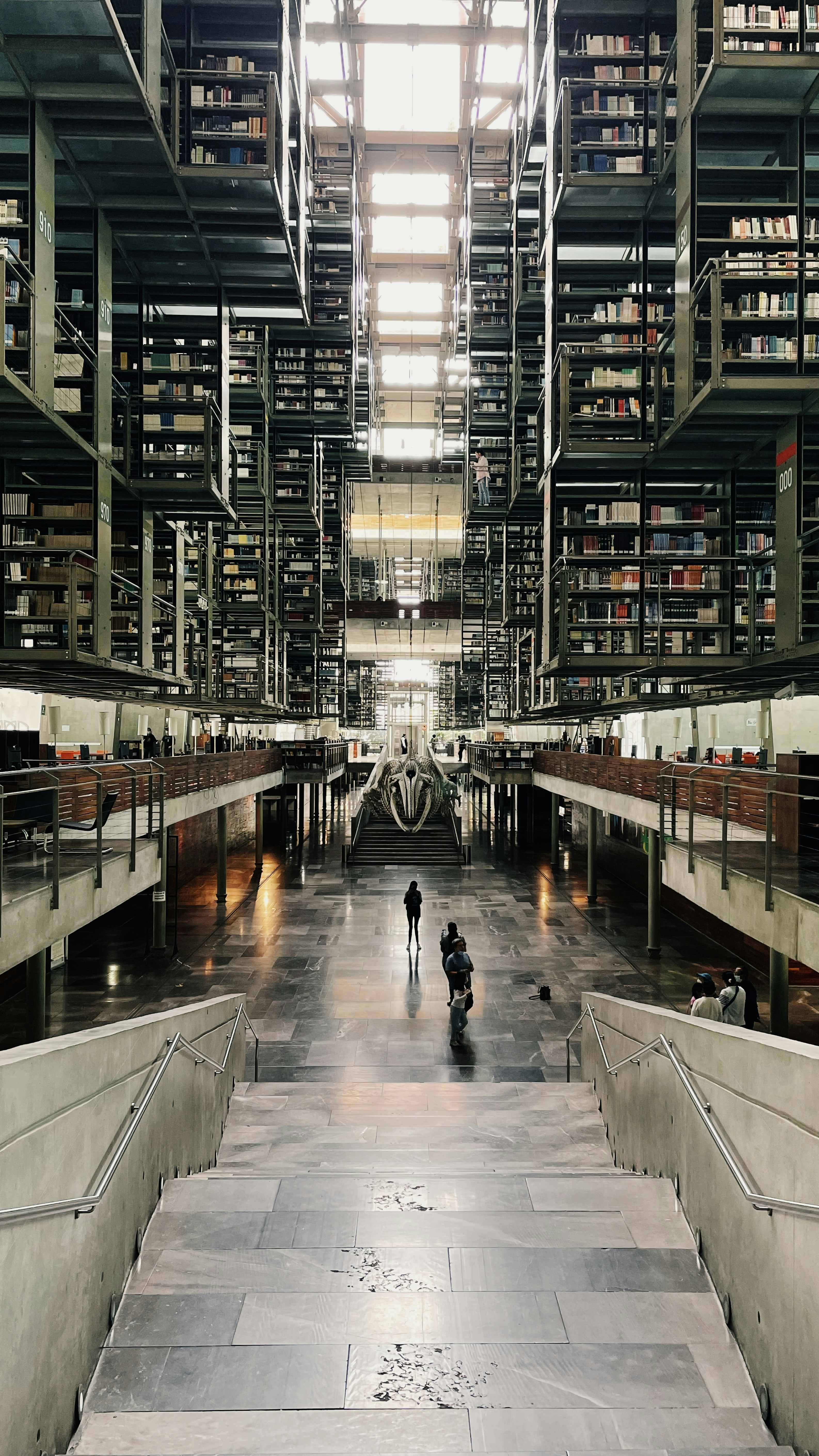 A large library with many bookshelves photo – Free México Image on Unsplash