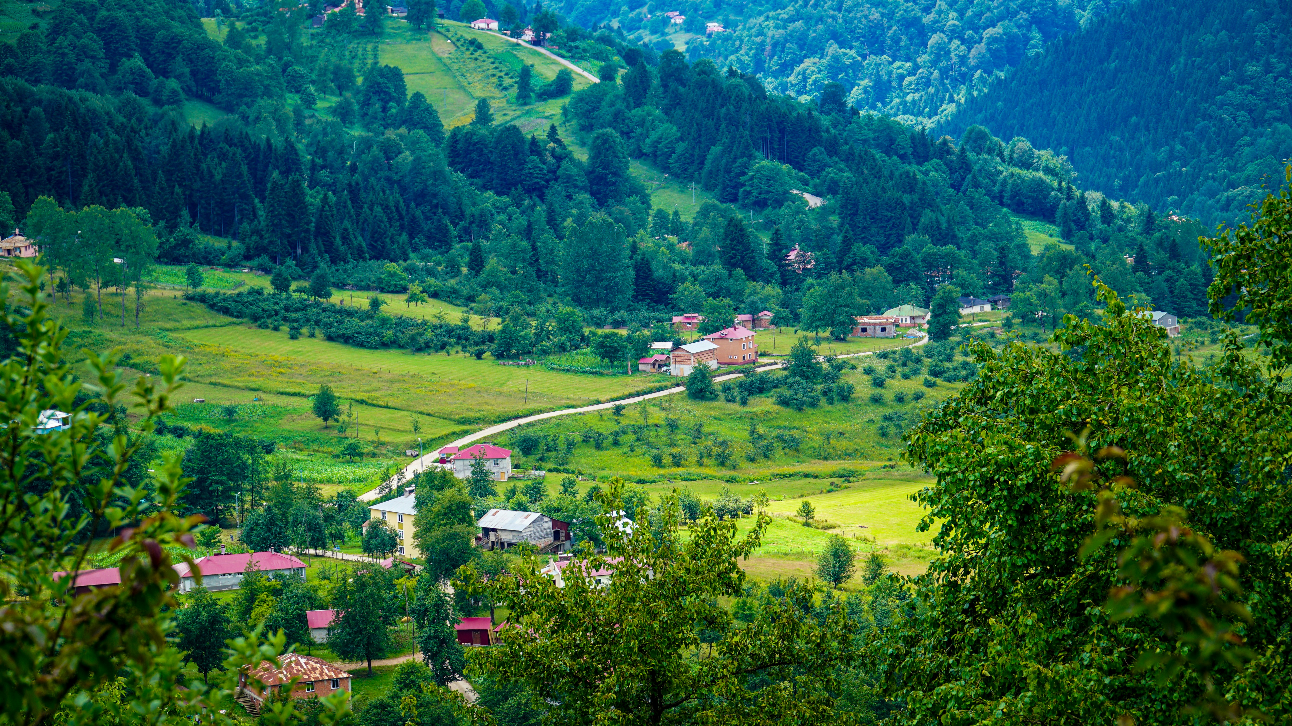 A landscape with trees and buildings photo – Free Trabzon Image on Unsplash