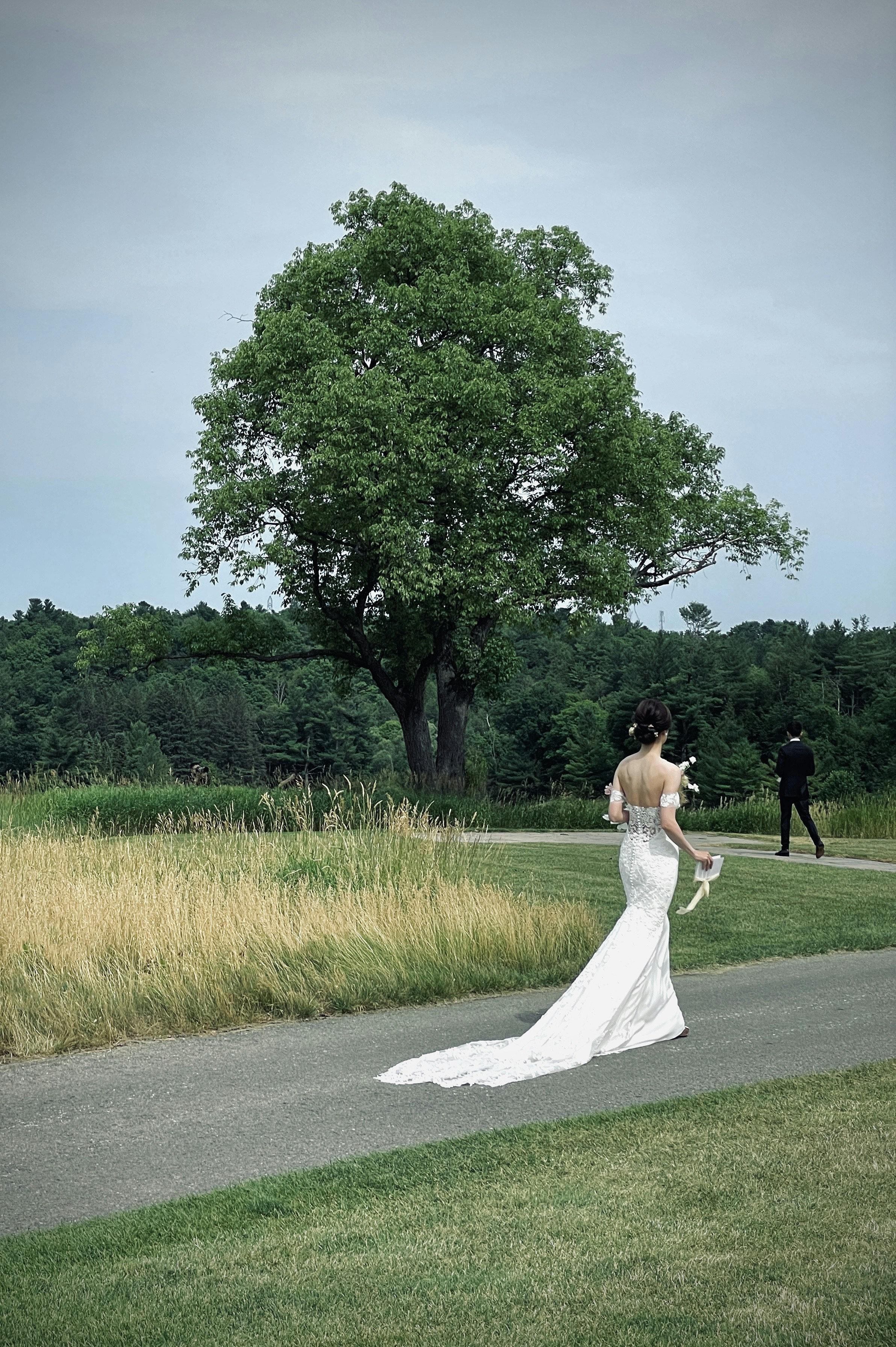 Bride’s Quiet Stroll Under a Grand Park Oak