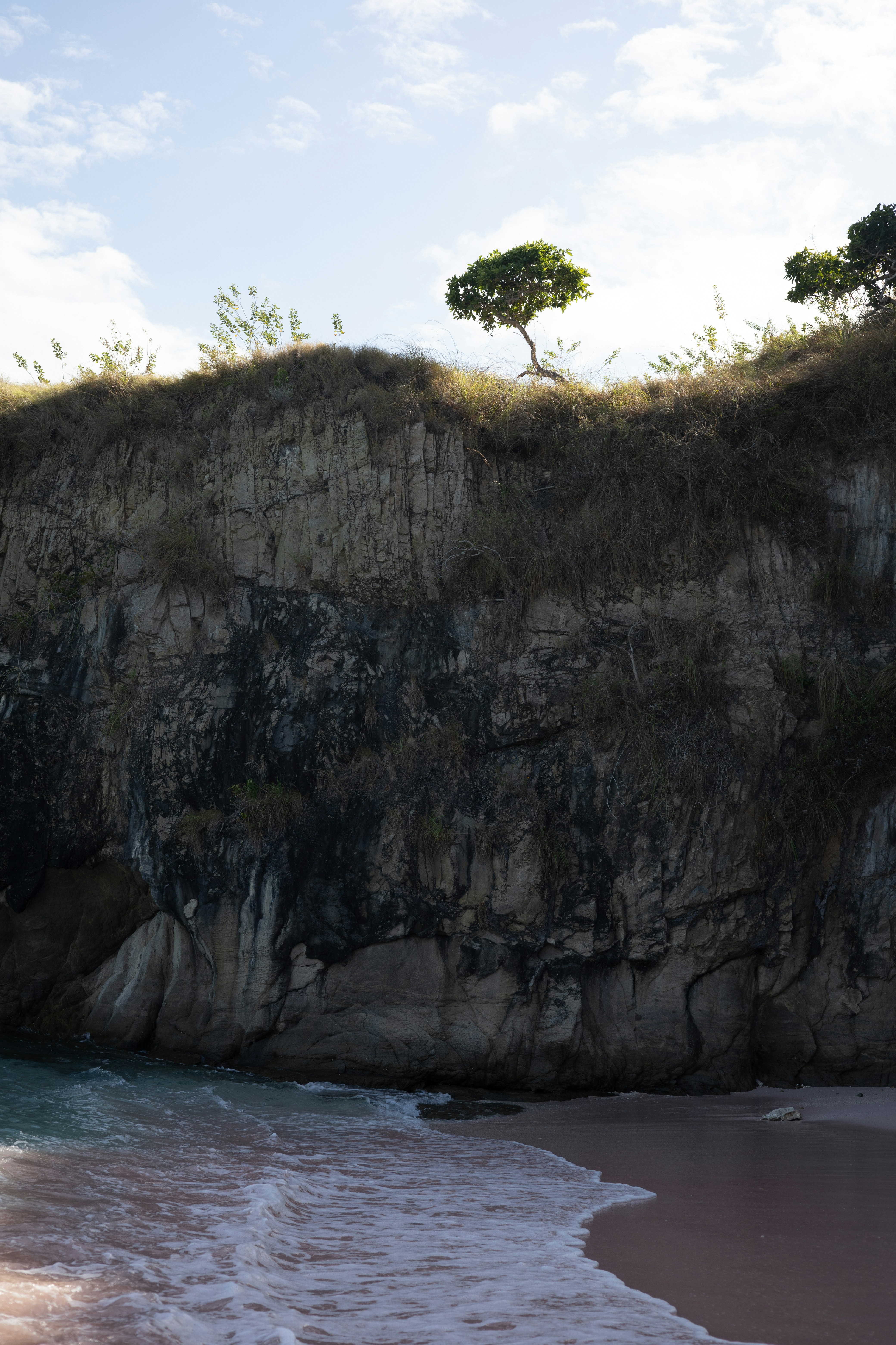 Trees On Cliff Pictures | Download Free Images on Unsplash