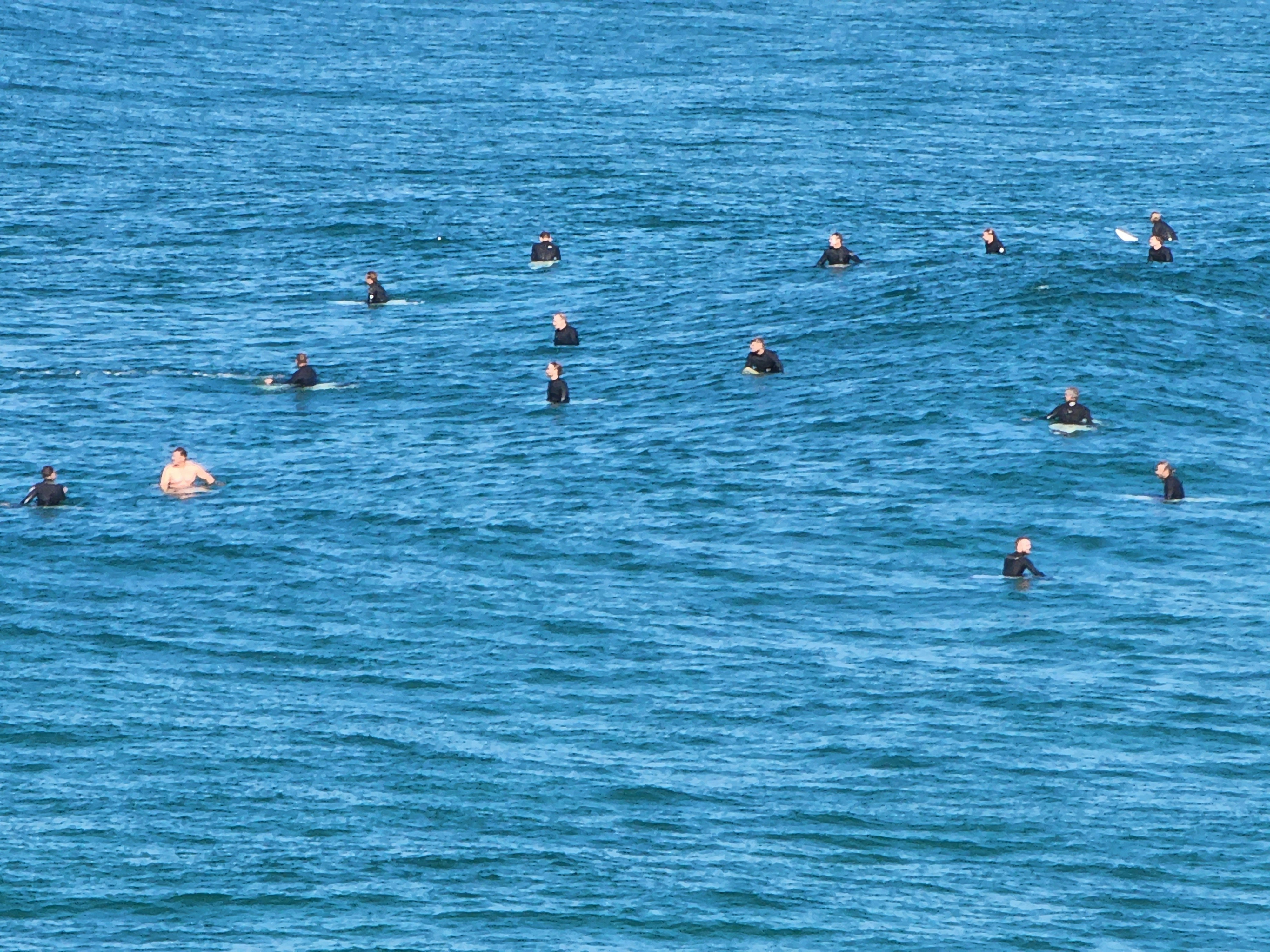 A group of people swimming in the water photo – Free Maroubra beach ...