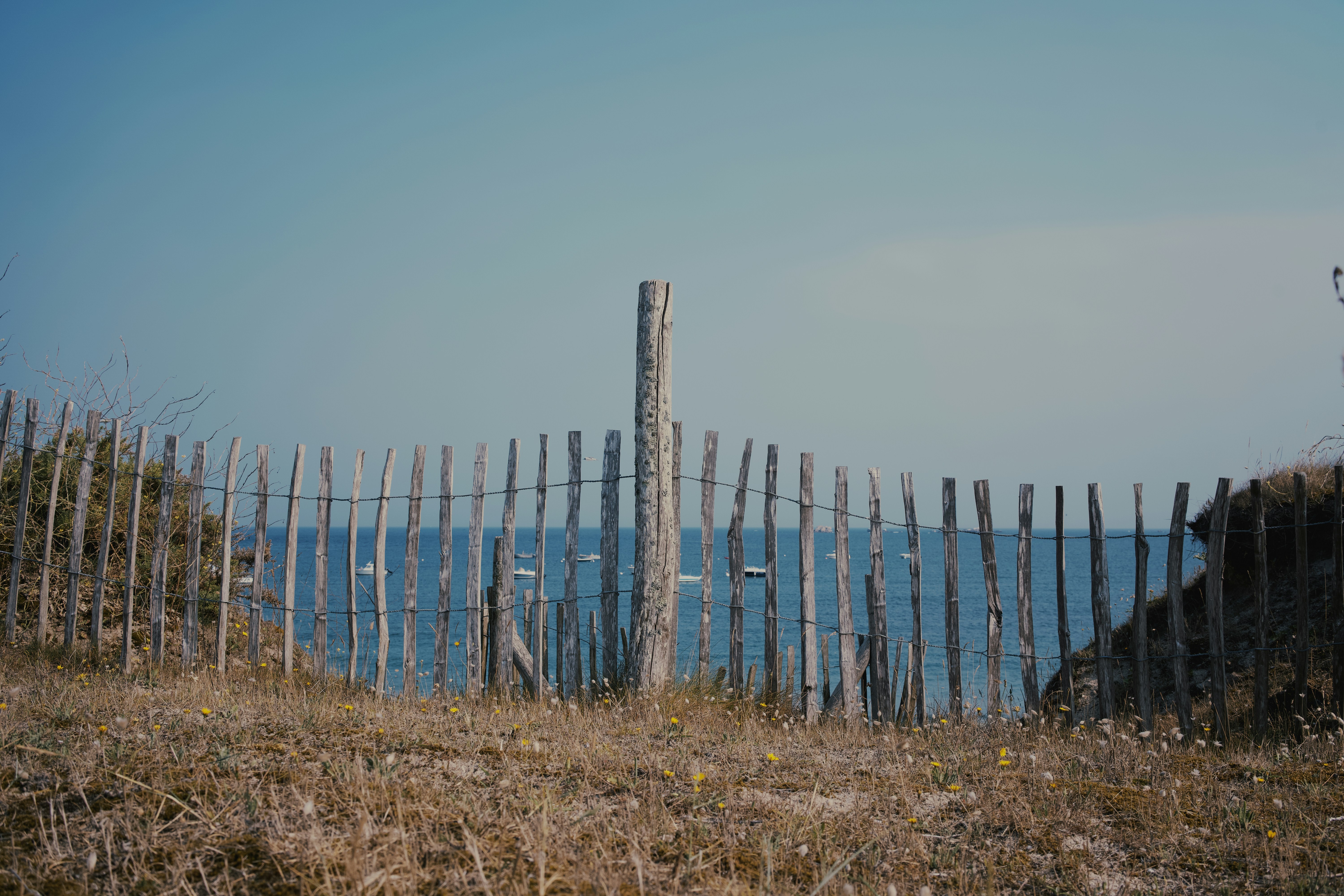 A fence with a row of wood posts in a field photo – Free Guissény Image ...