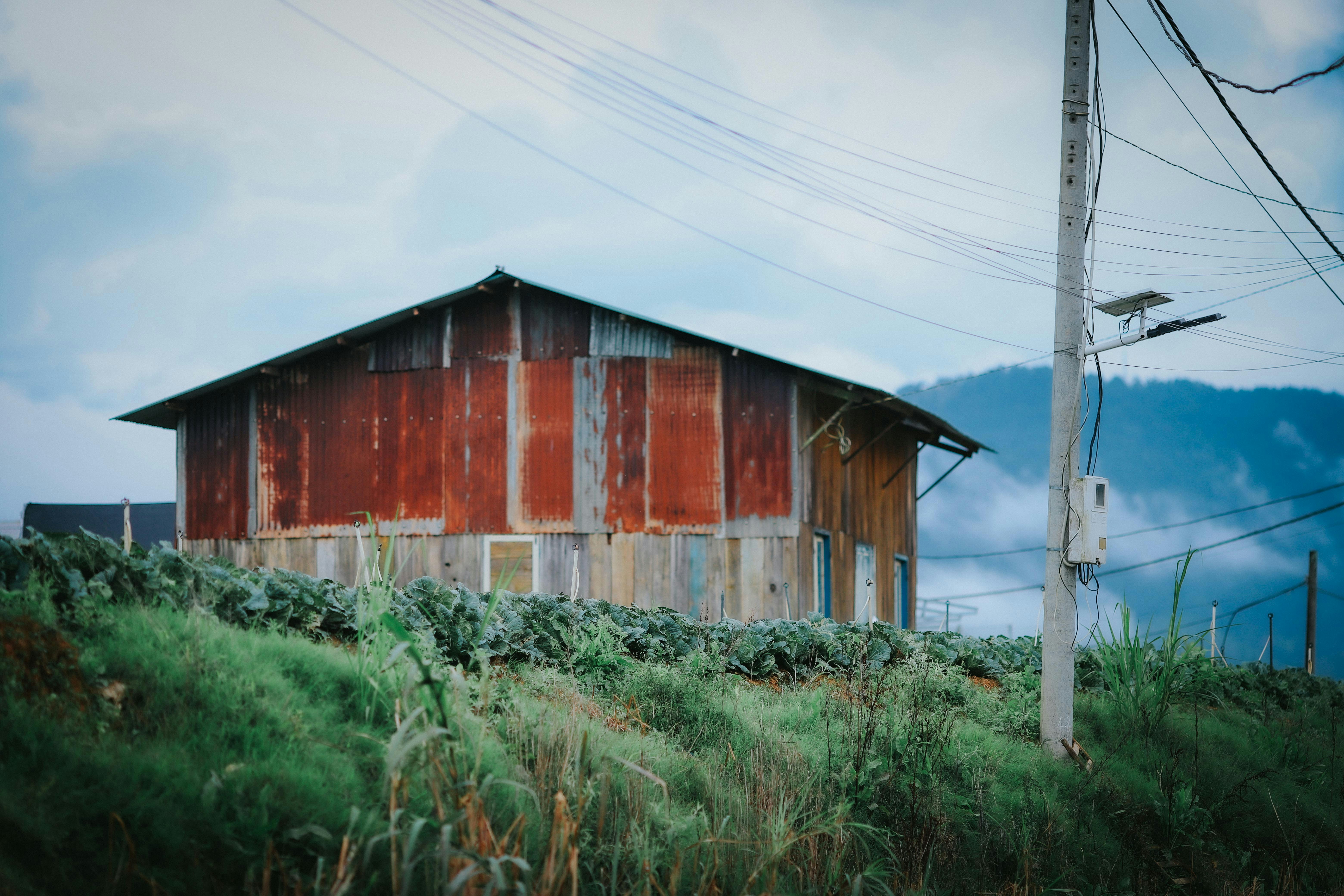 A weathered barn with a rusty red facade stands amidst lush greenery, framed by distant mountains and power lines.