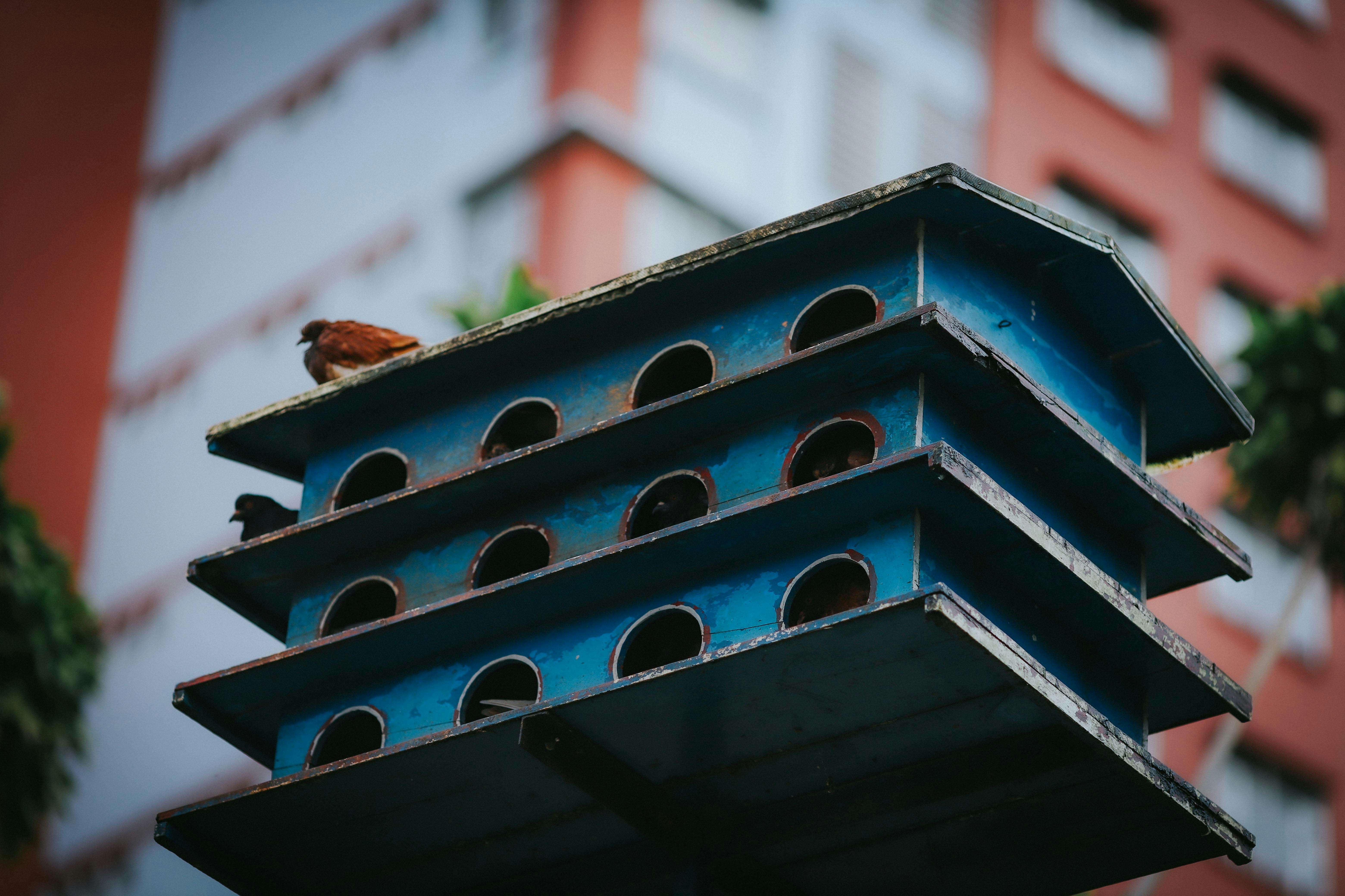 a bird sitting on a birdhouse