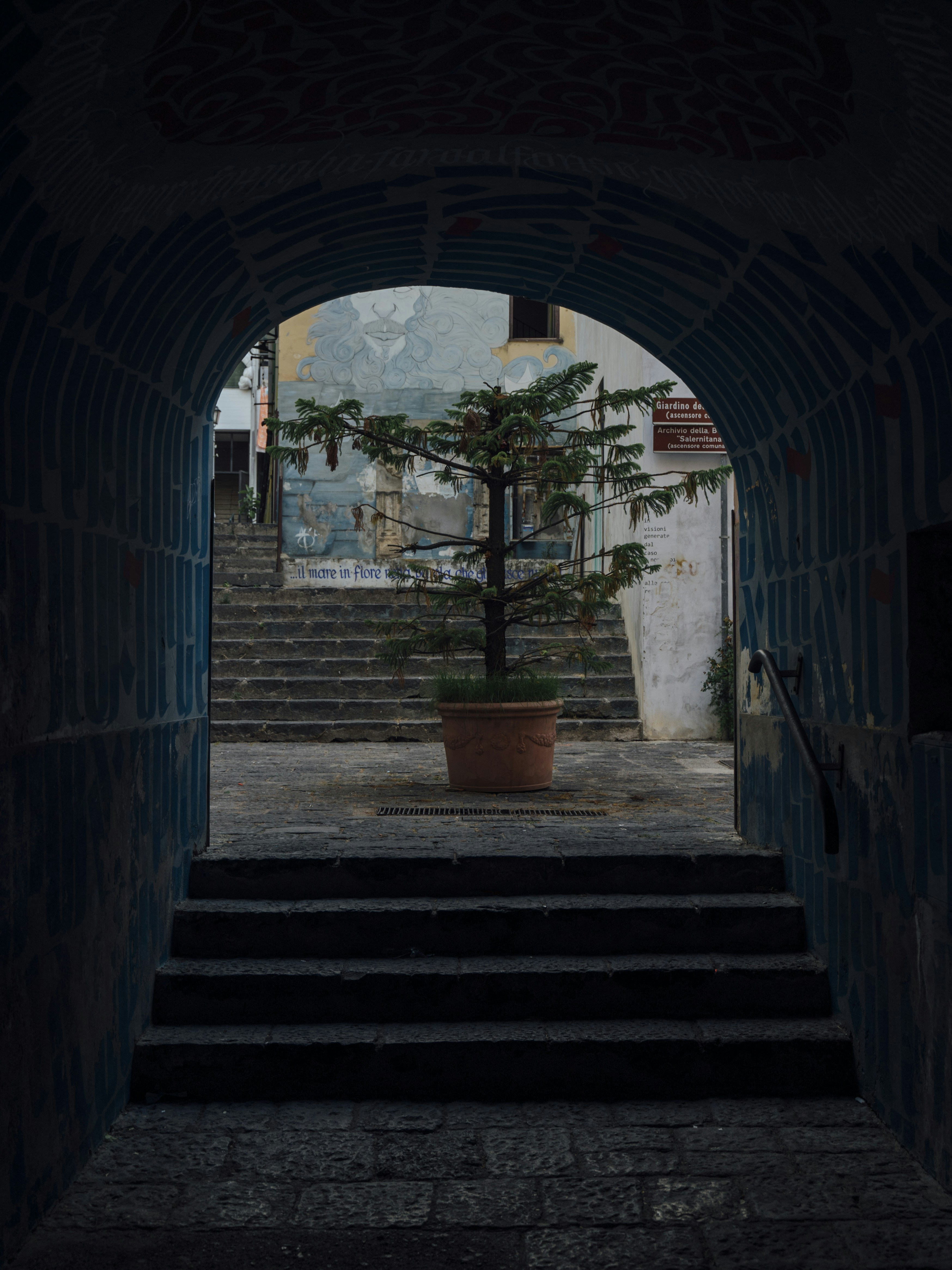A Quiet Oasis Centered in a Painted Archway