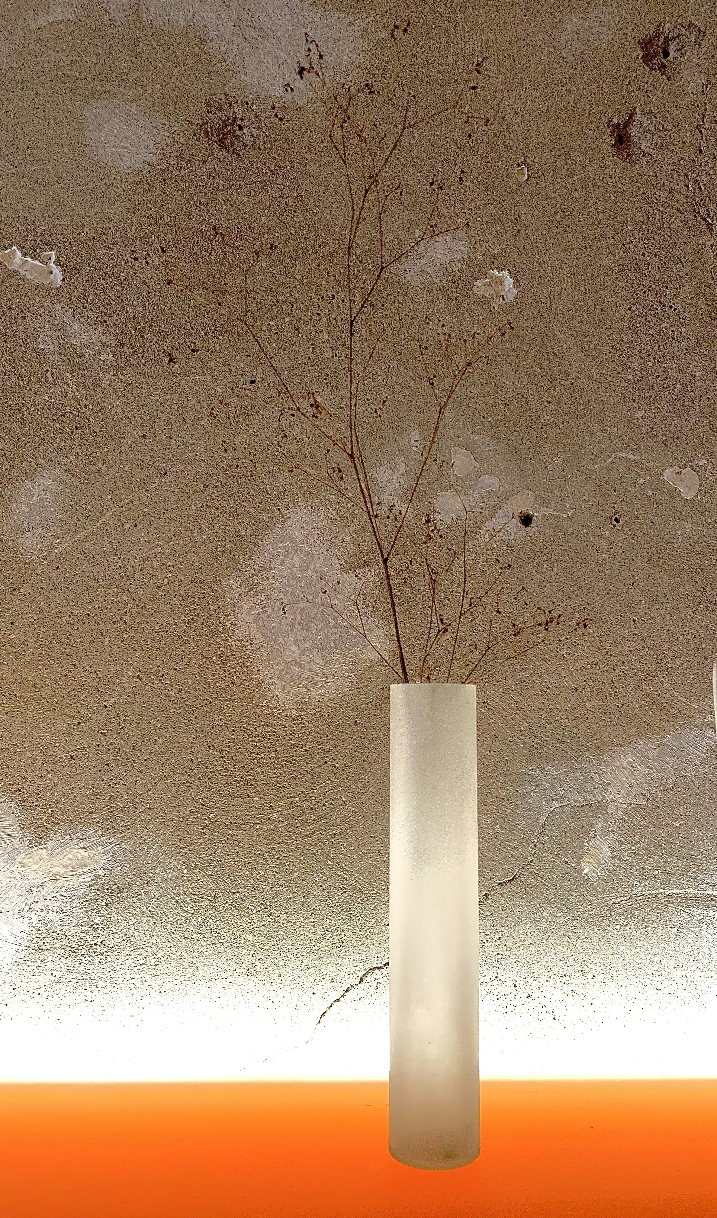 Vapor Vase: a tall frosted tube with delicate branches