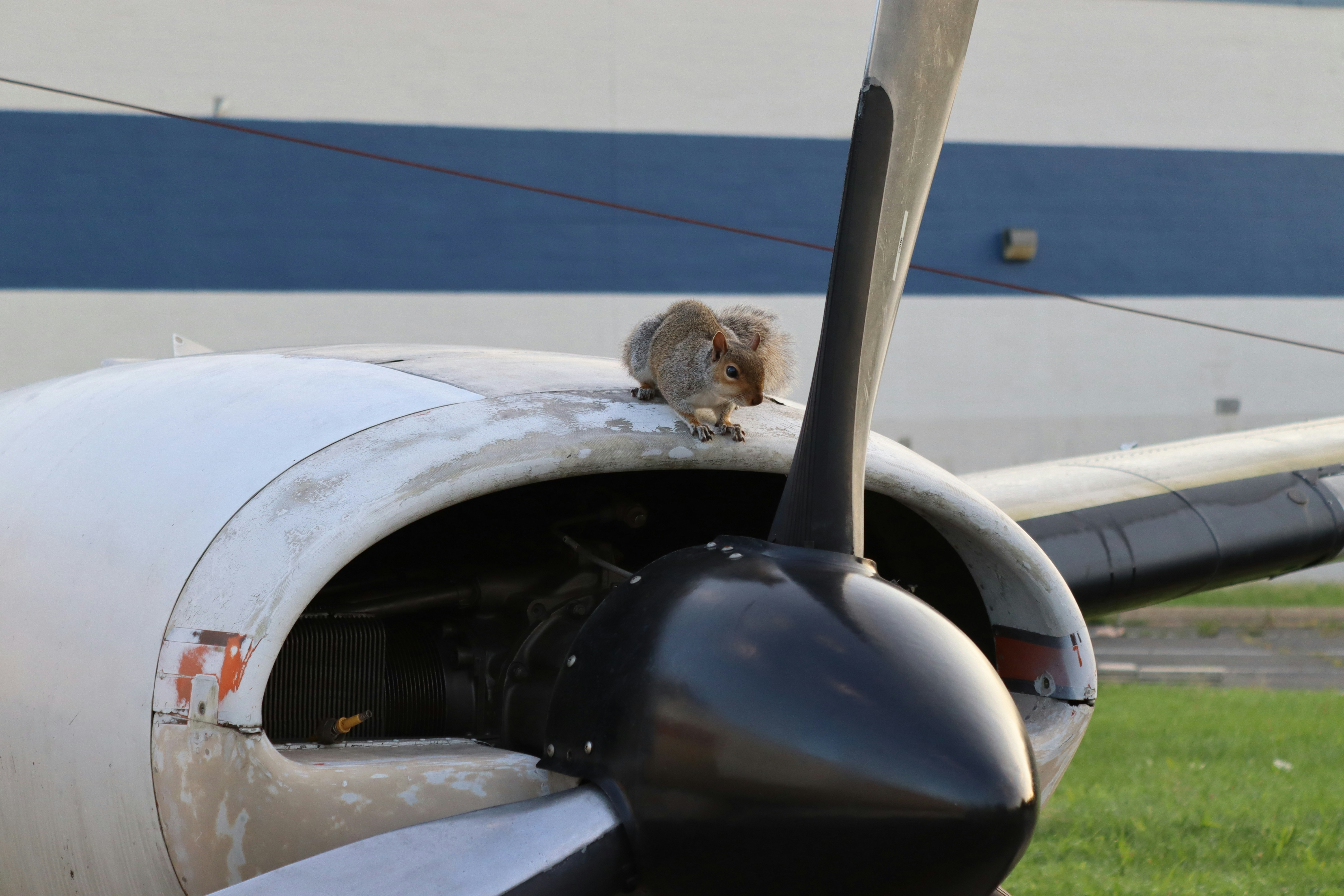 Photo by Tom Brown with Canon EOS 250D