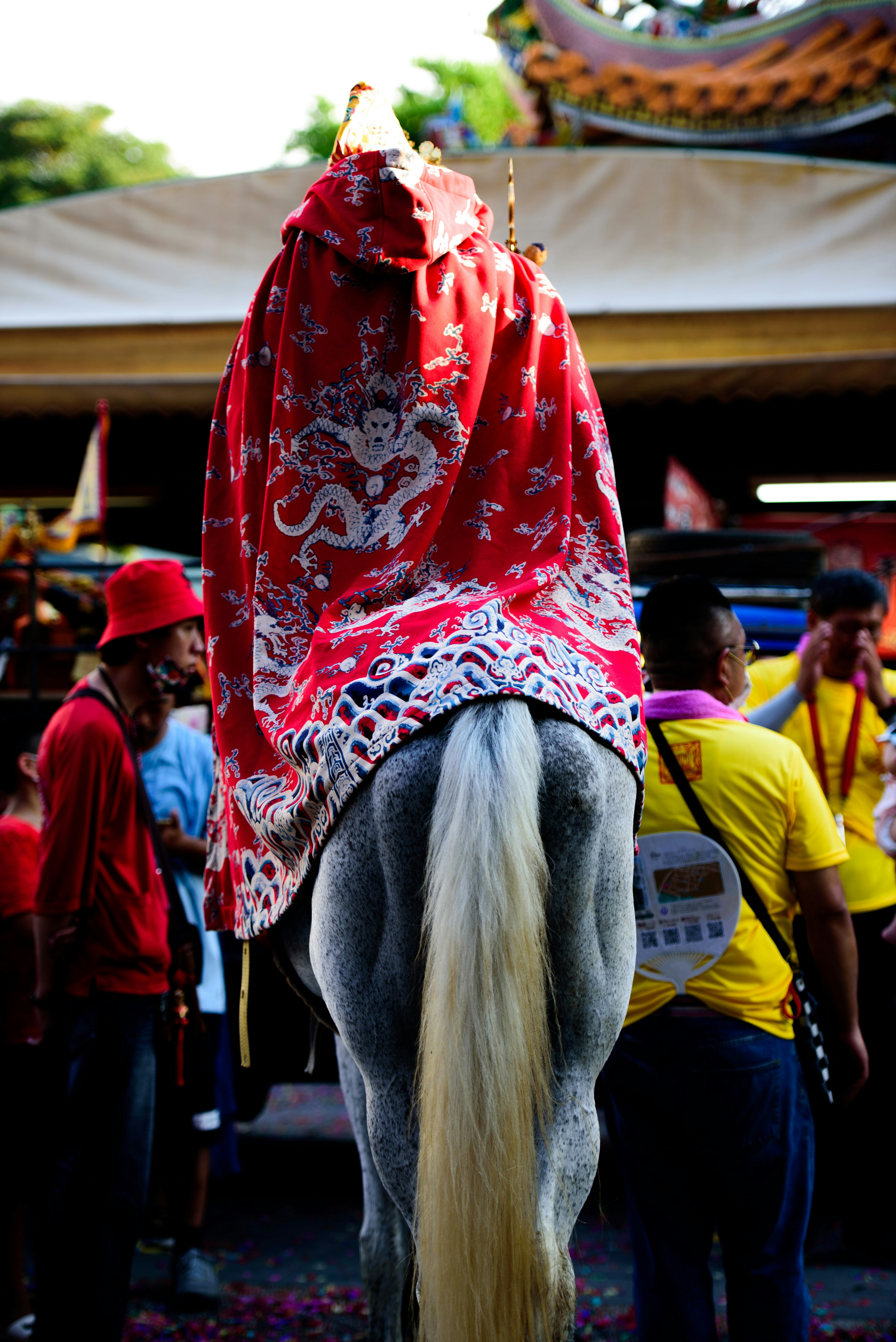 Dramatic Red Draped Ride: A Velvet Cloaked Horse at a Festival
