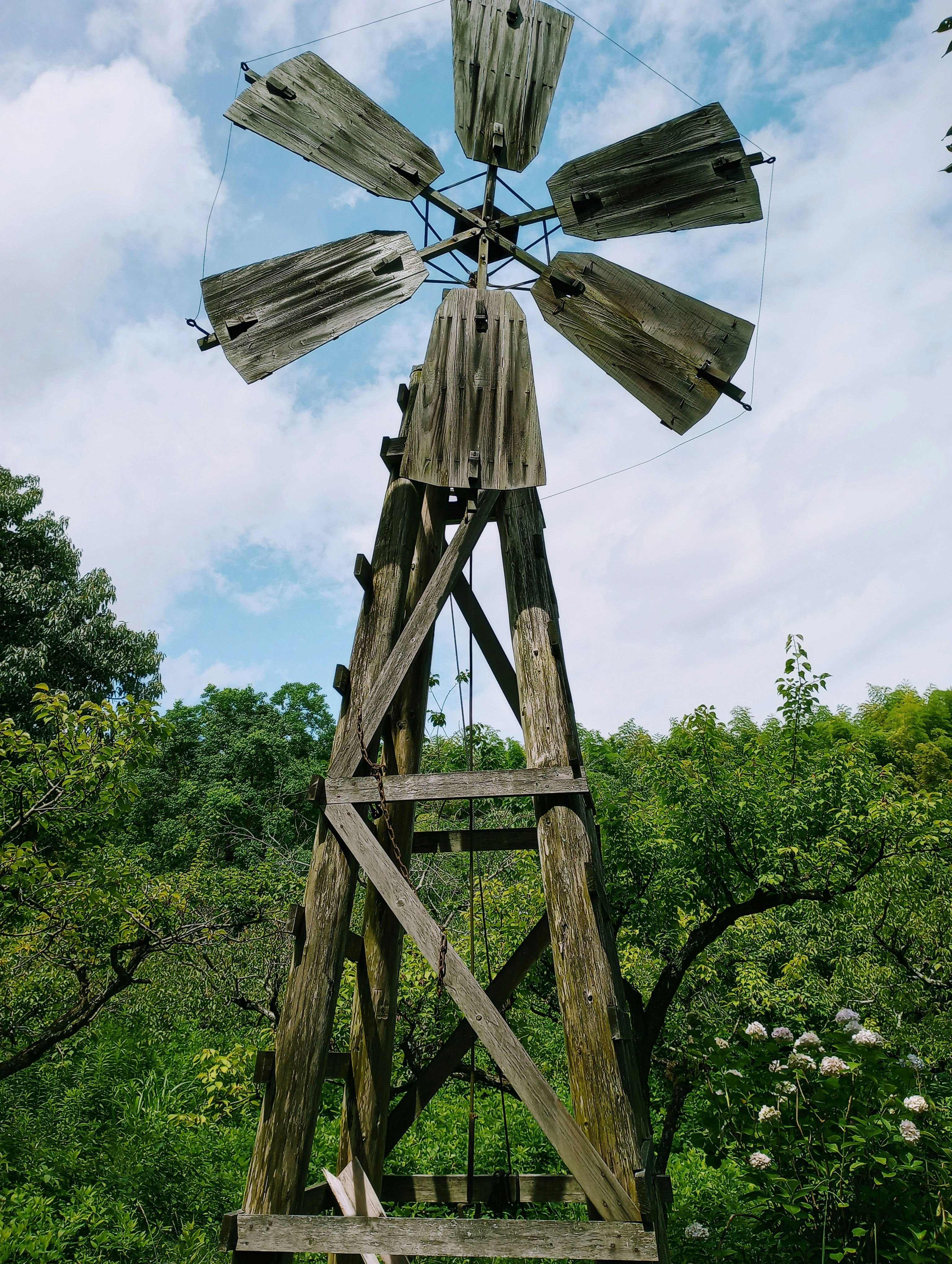 Photo by t Penguin with Motorola Moto G31