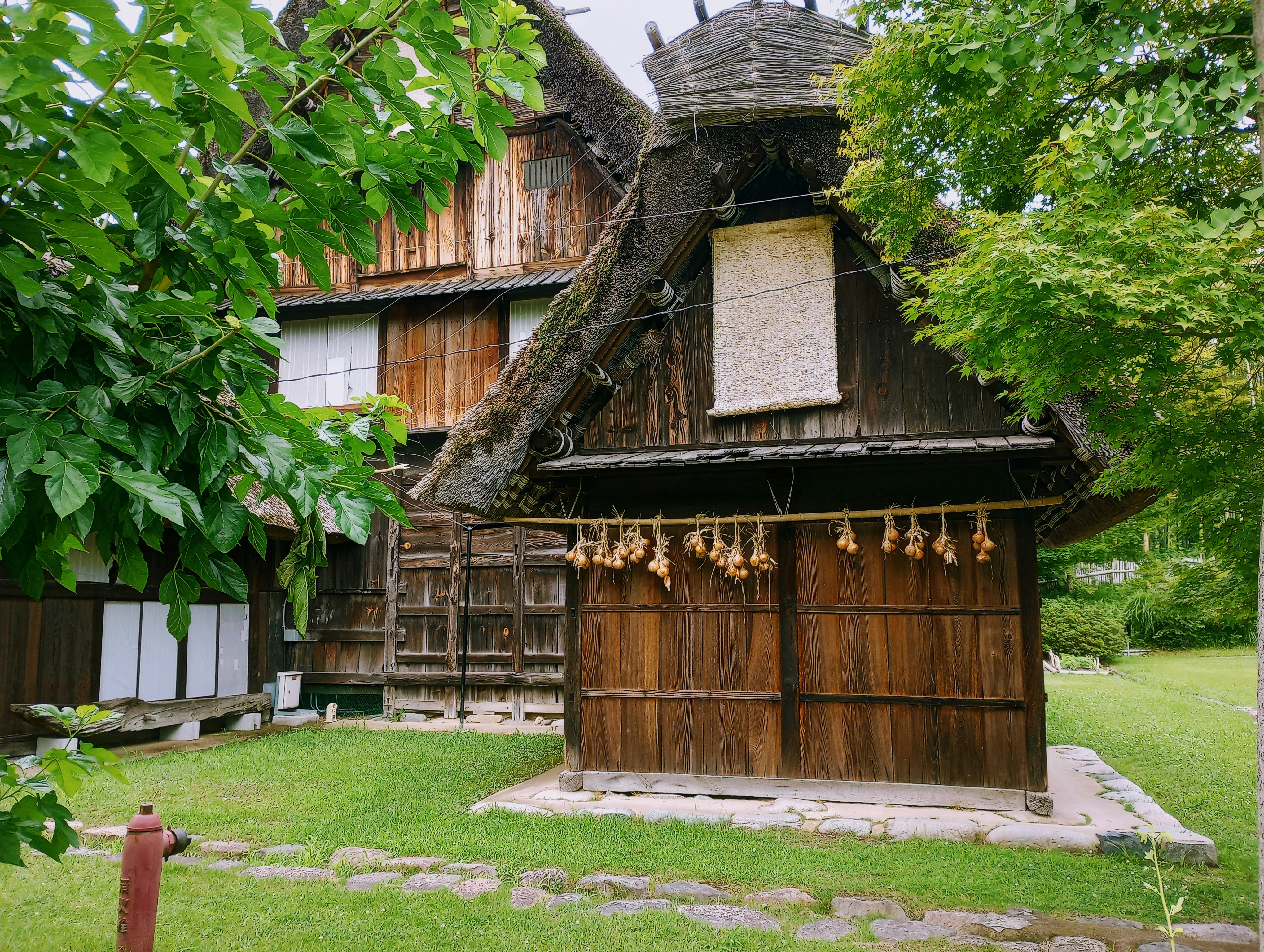 Photo by t Penguin with Motorola Moto G31