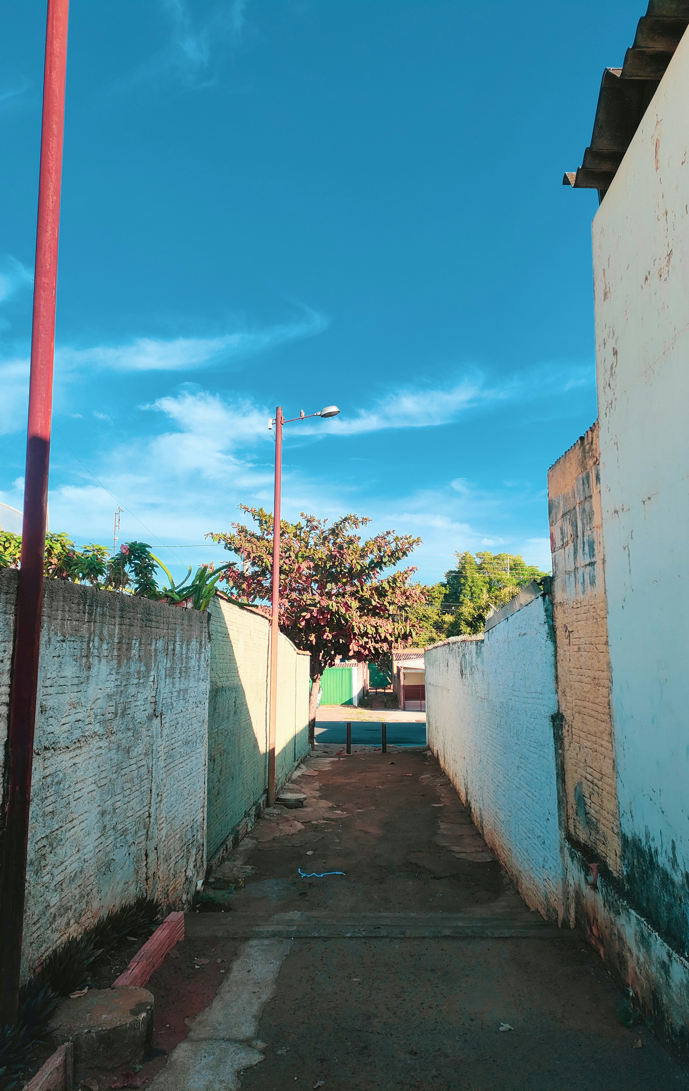 Narrow alleyway framed by textured walls and vibrant foliage, leading to an inviting open space. A streetlight stands sentinel in the background.