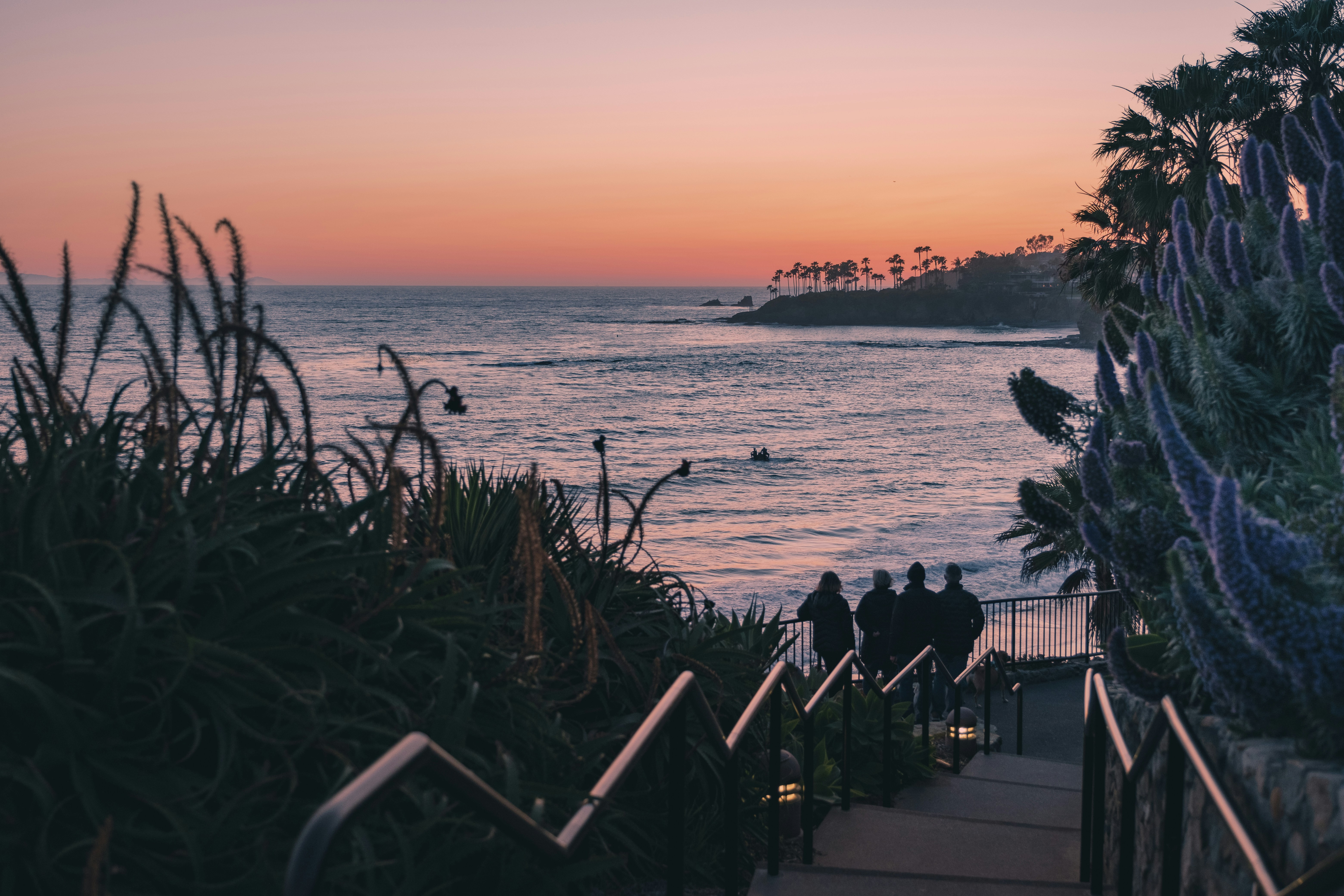 a group of people walking on a path by a beach
