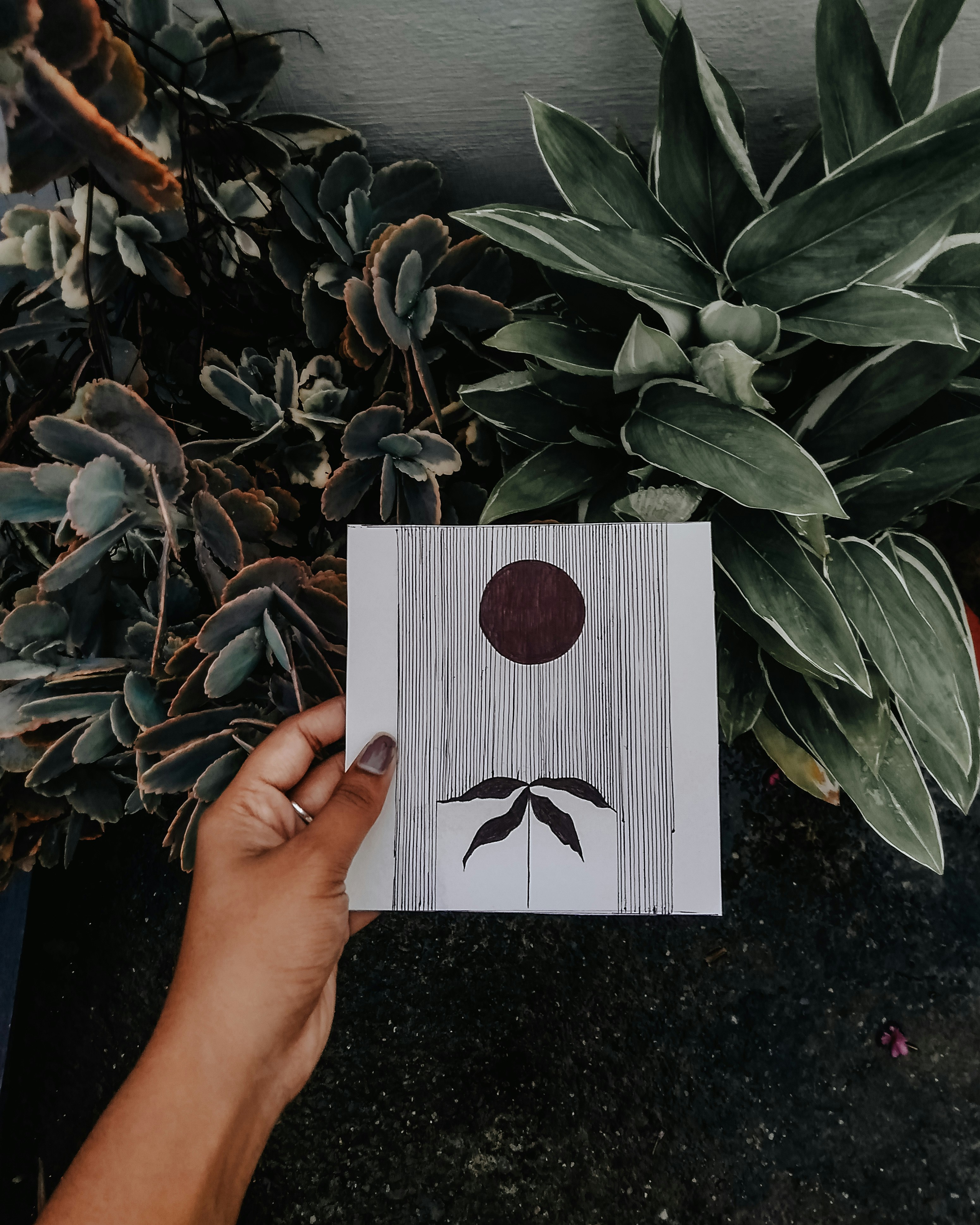 A Card Beside Green Foliage: A Handheld Card in Focus