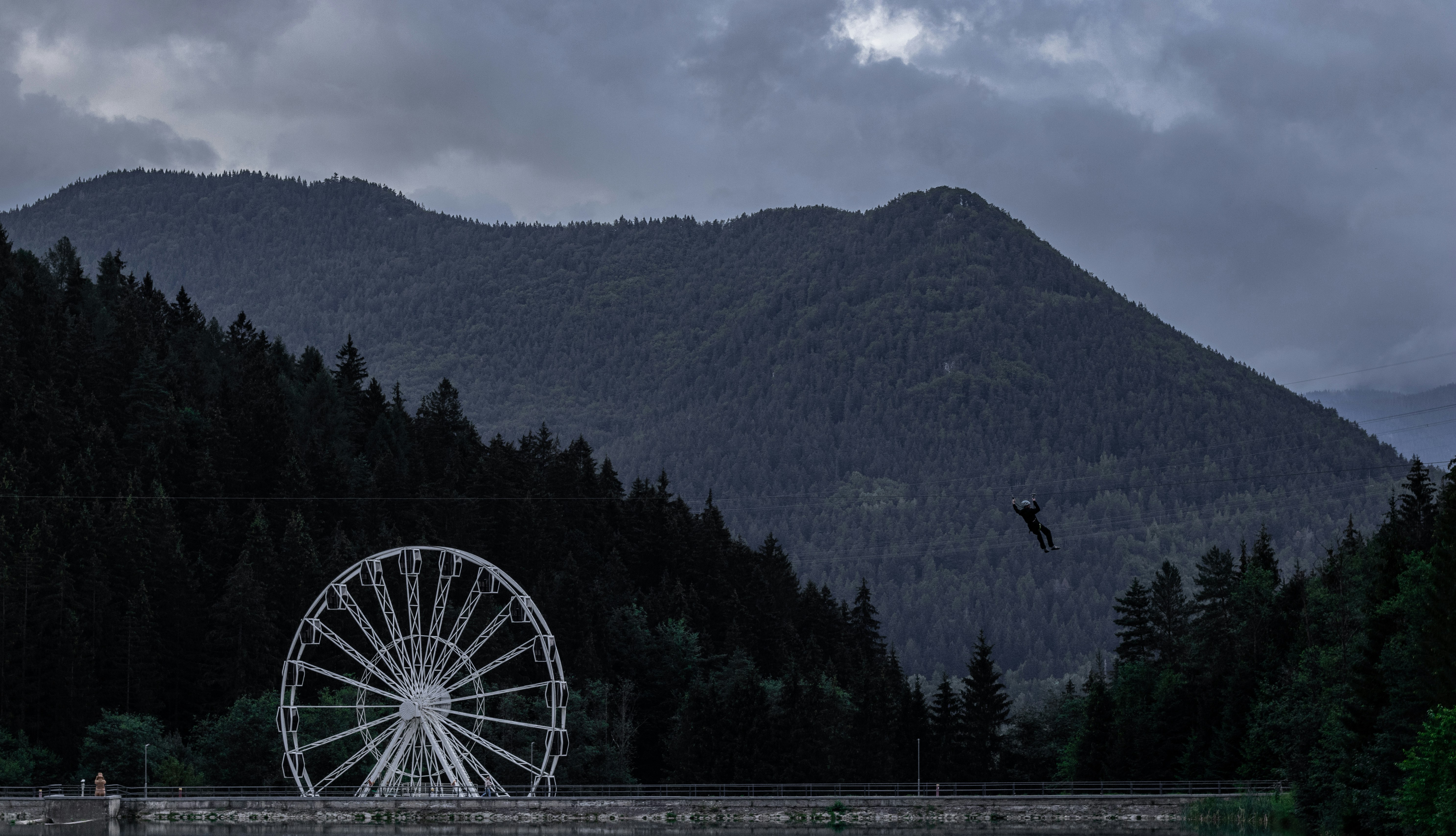 a bird flying over a ferris wheel