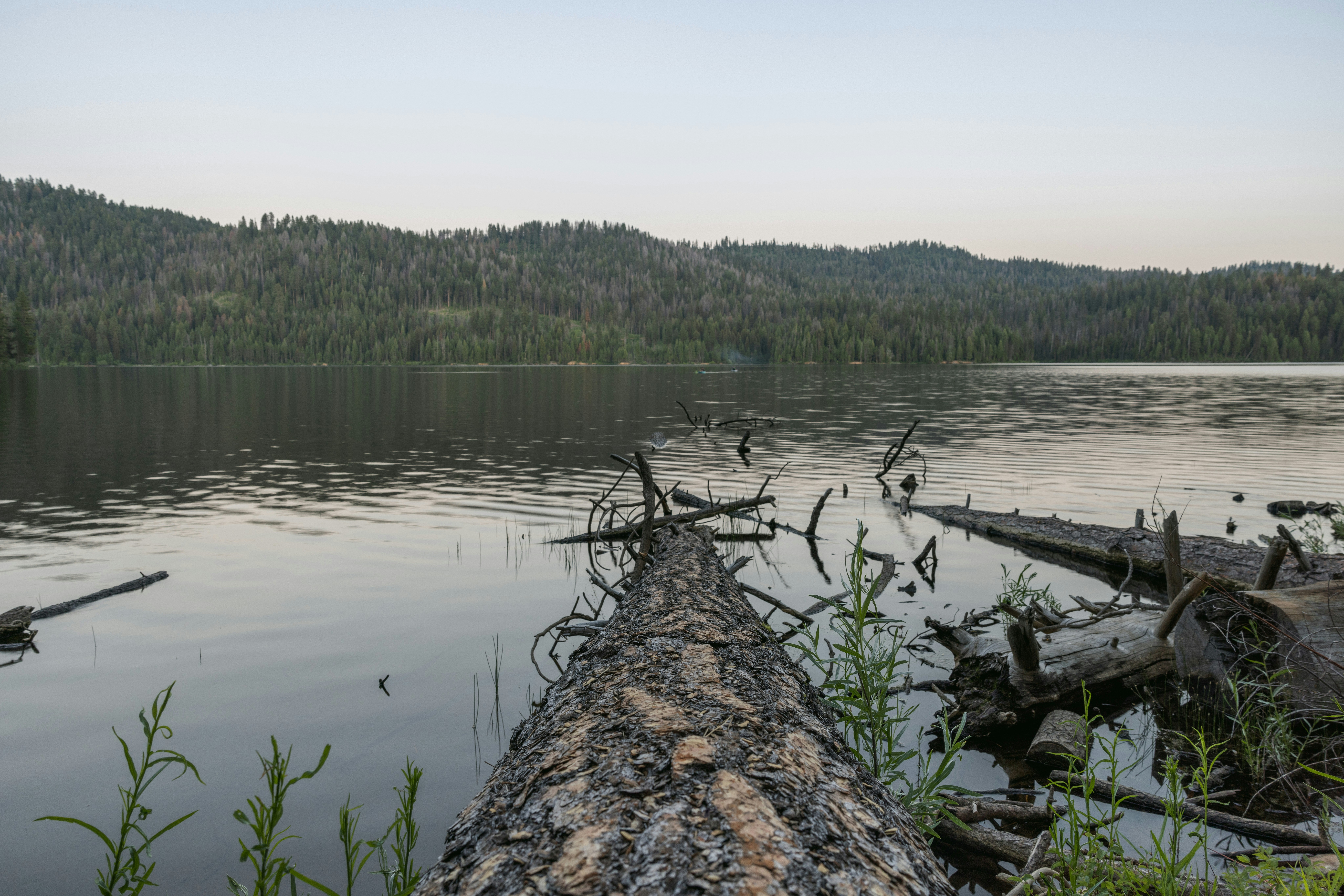 Lac Chaud Photos | Télécharger des images gratuites sur Unsplash