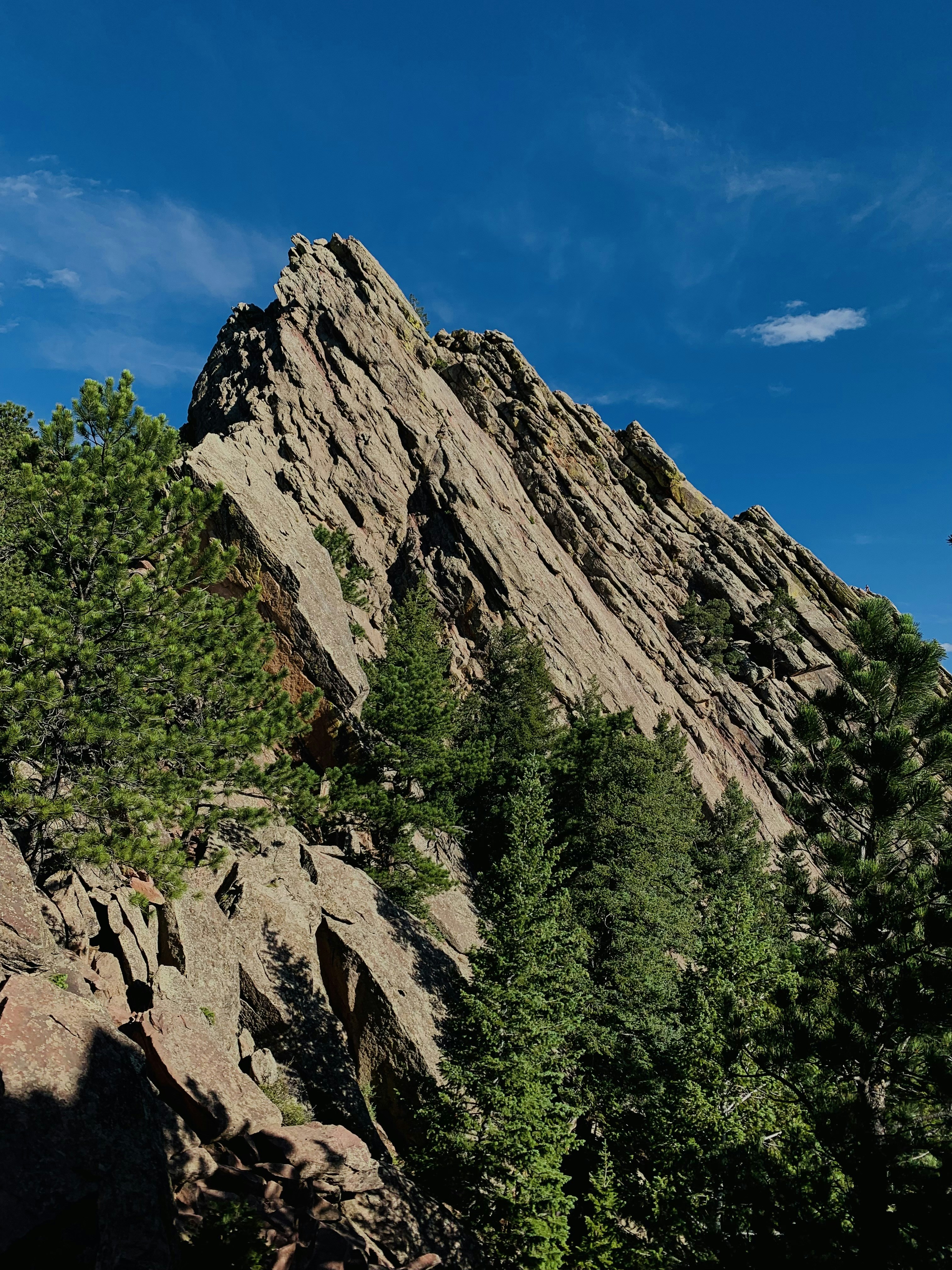 Jagged rock formations rise sharply against a clear blue sky, surrounded by lush green pines. The scene highlights the rugged beauty of nature.