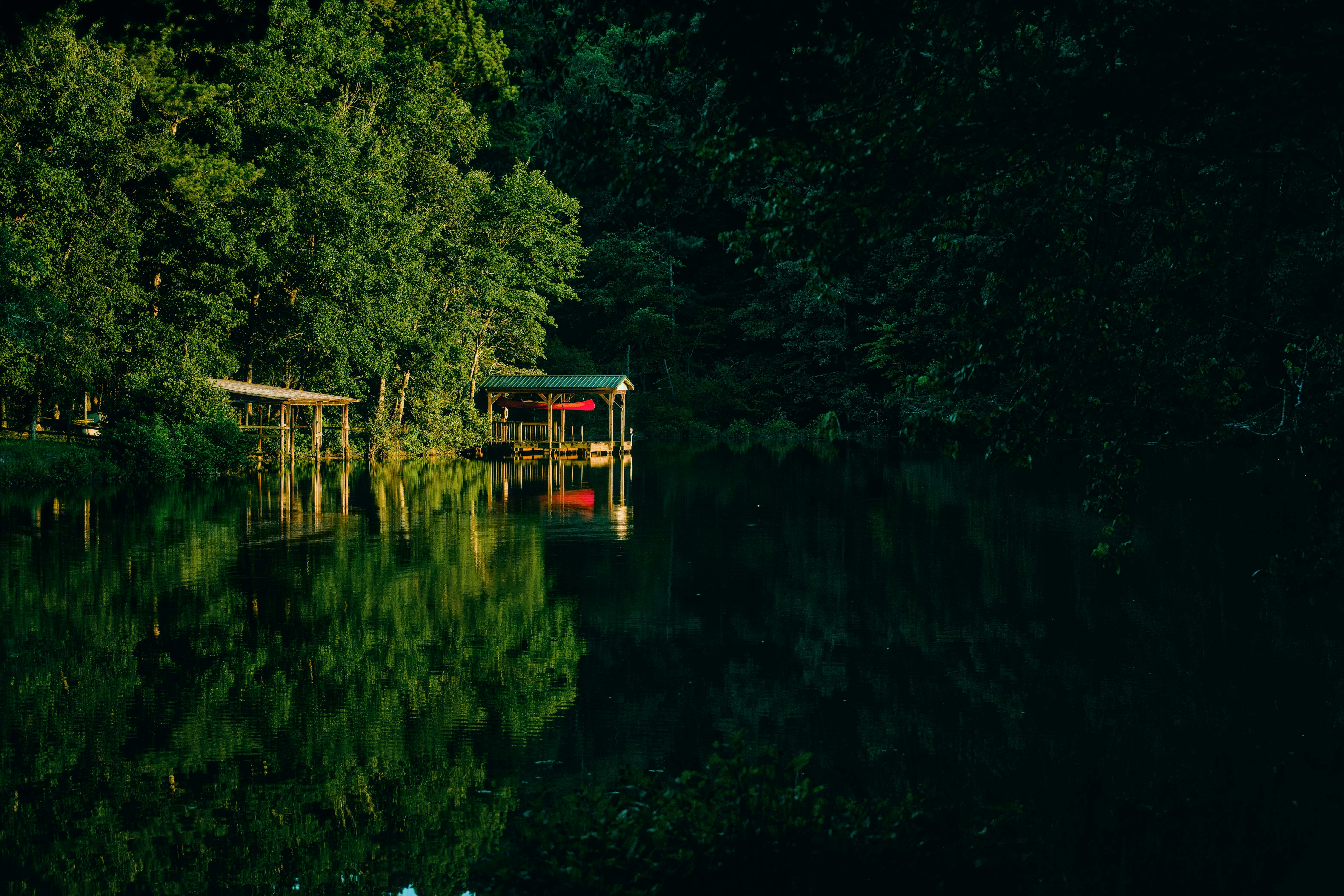 Beau Carpenter (@btcarpenter) | Unsplash Photo Community