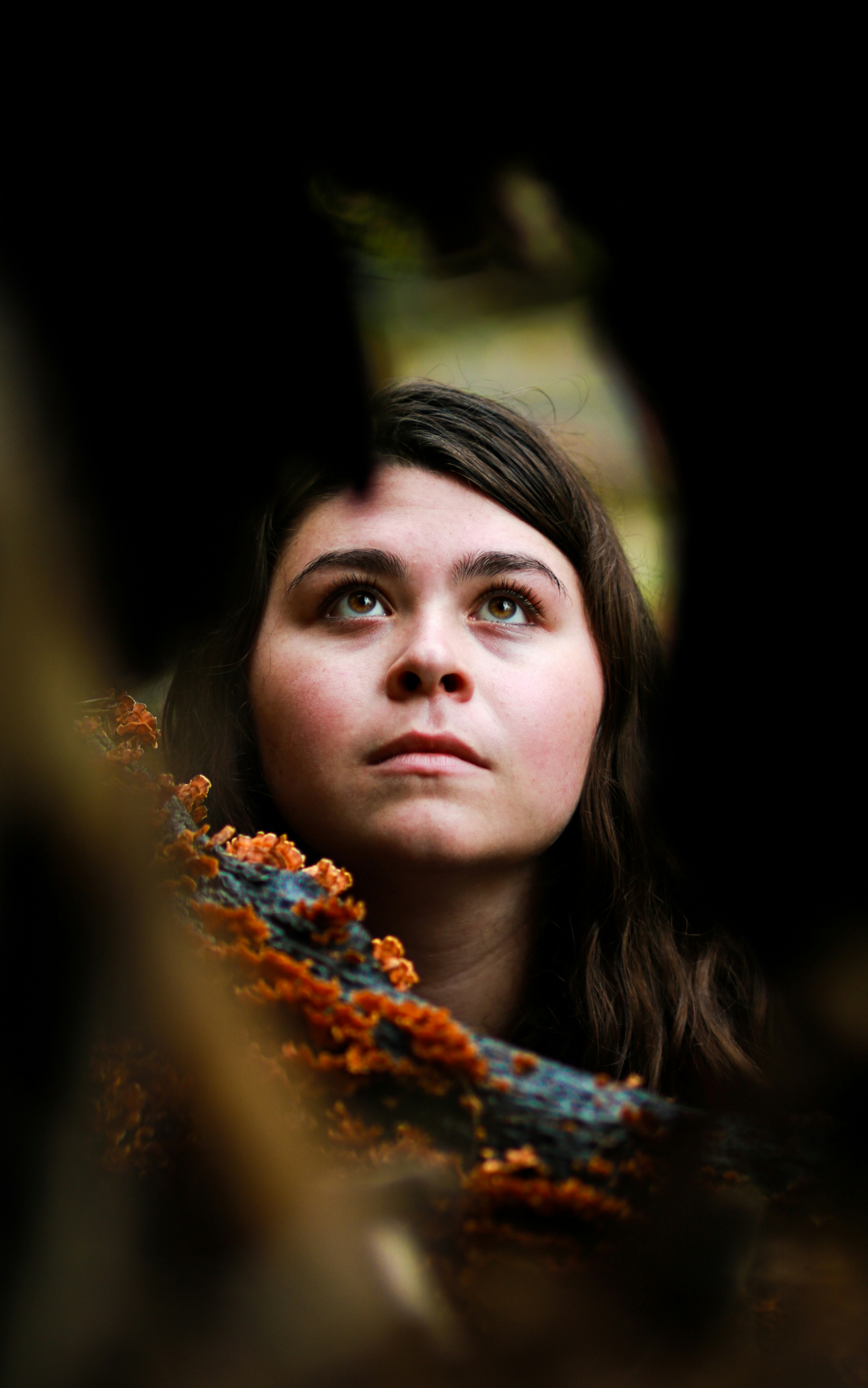 This shot was captured through a dying tree trunk. 