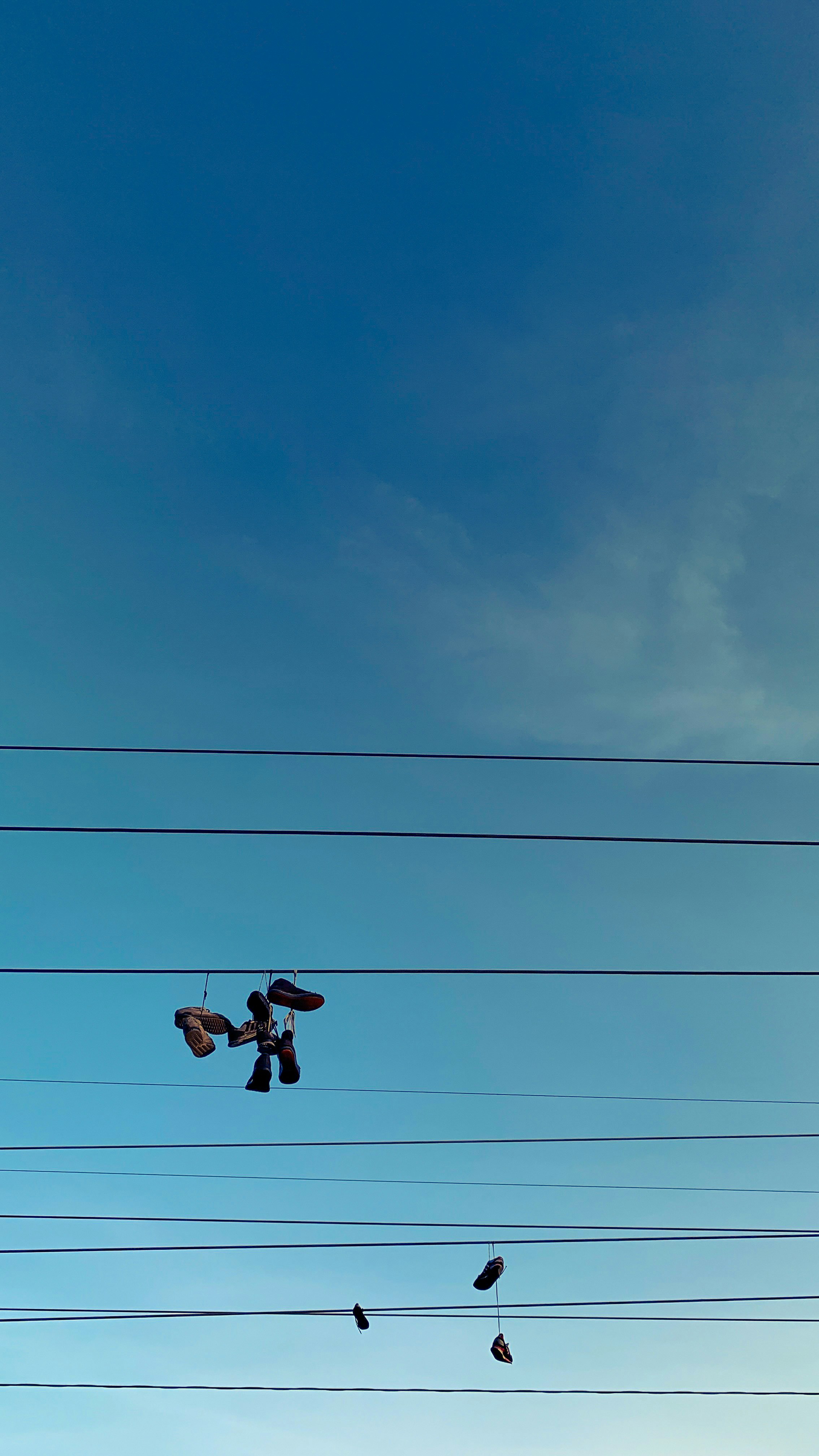 Shoes and Sock Hanger: A Quiet Year on Power Lines