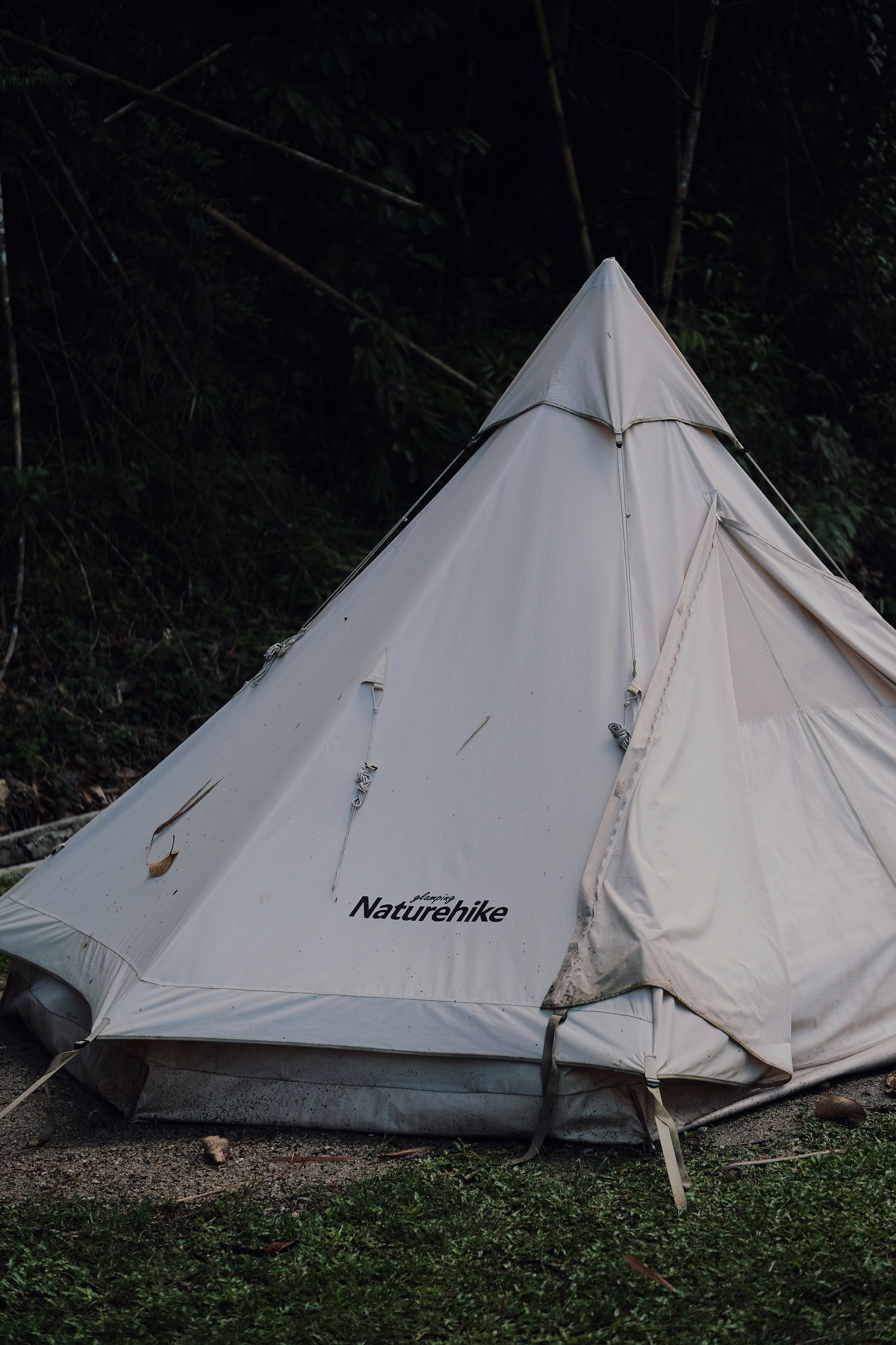 a white tent in the woods