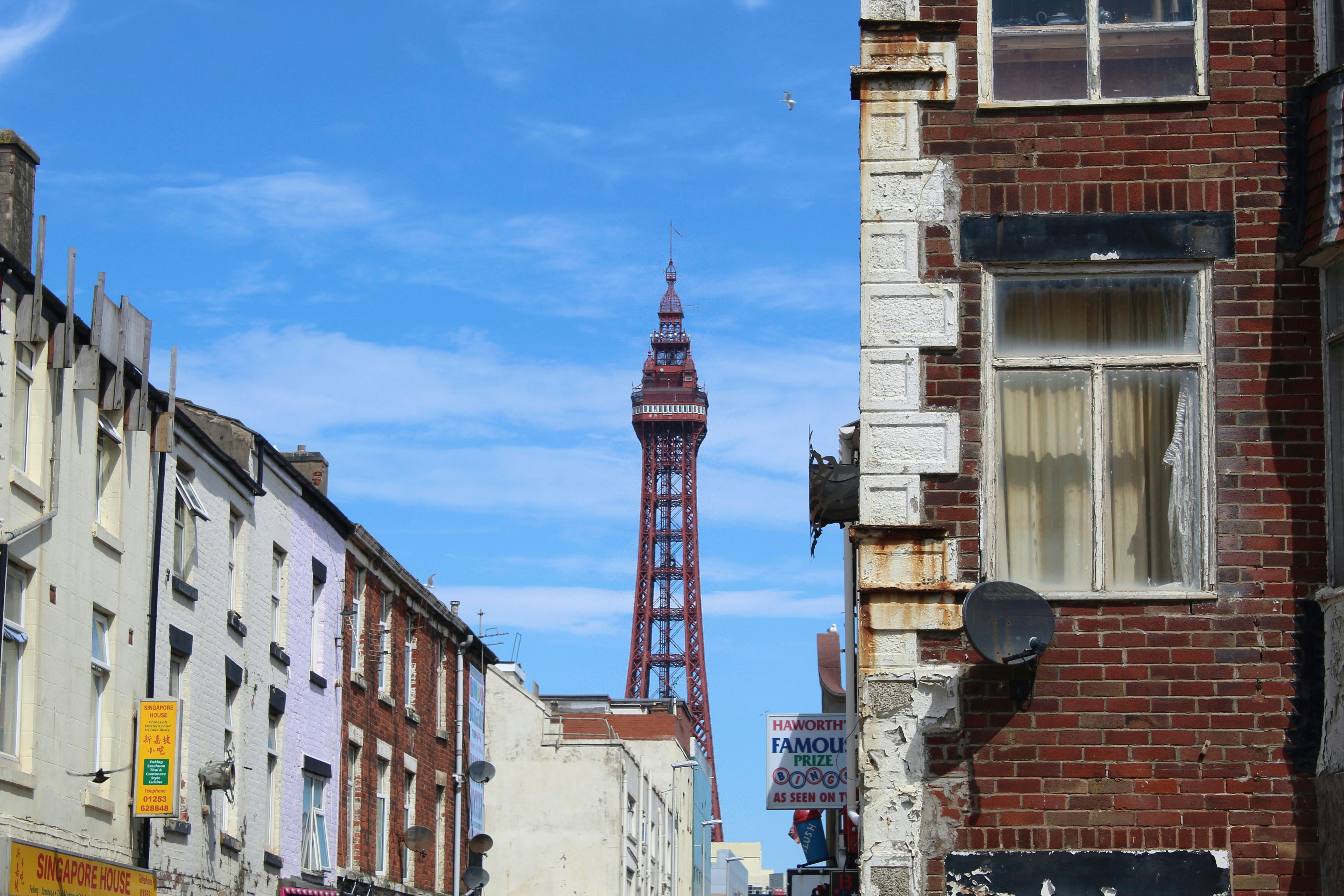 Urban Vista with Towering Landmark