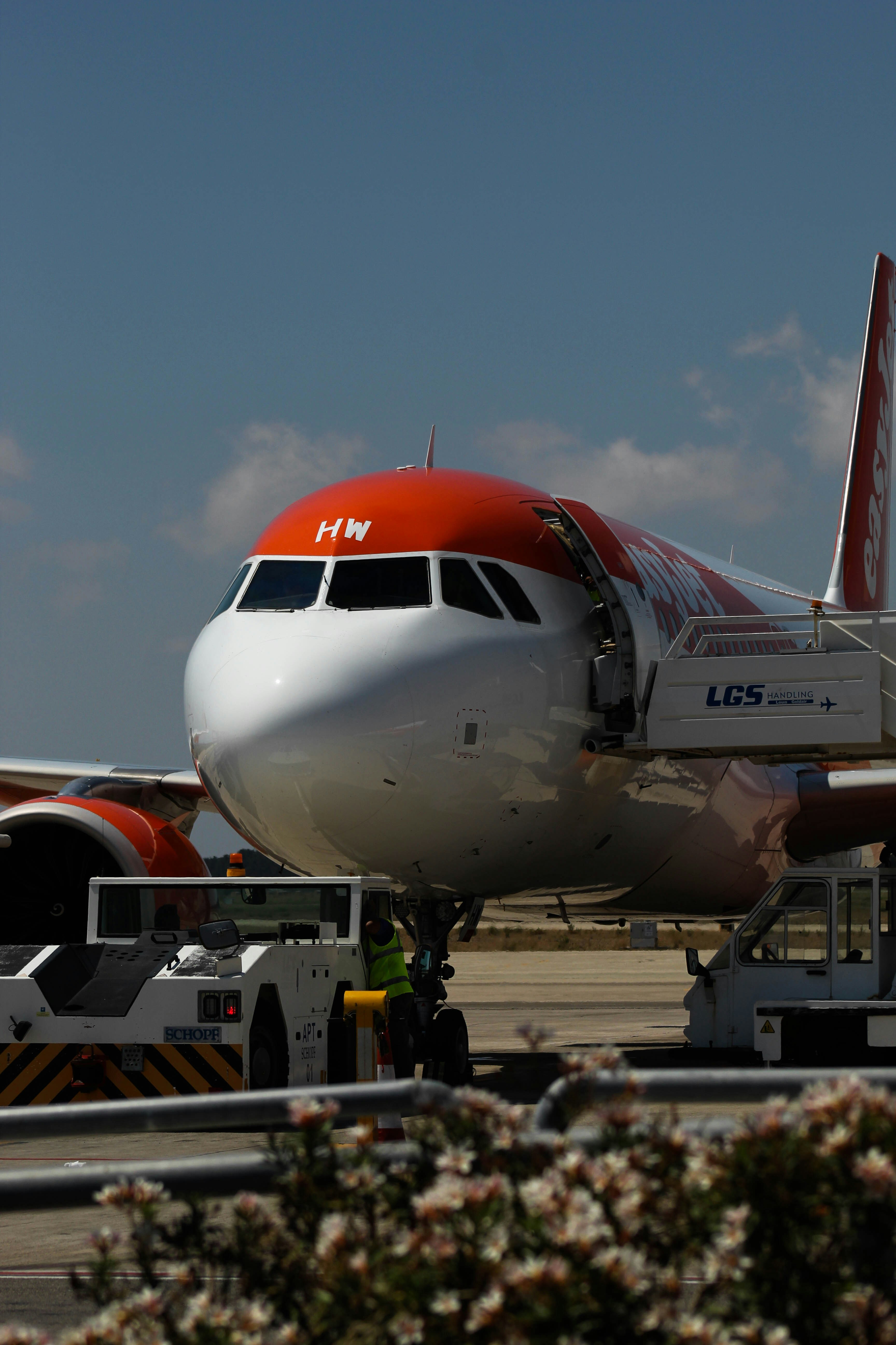 Grounded Giant: A Close Encounter with Aviation