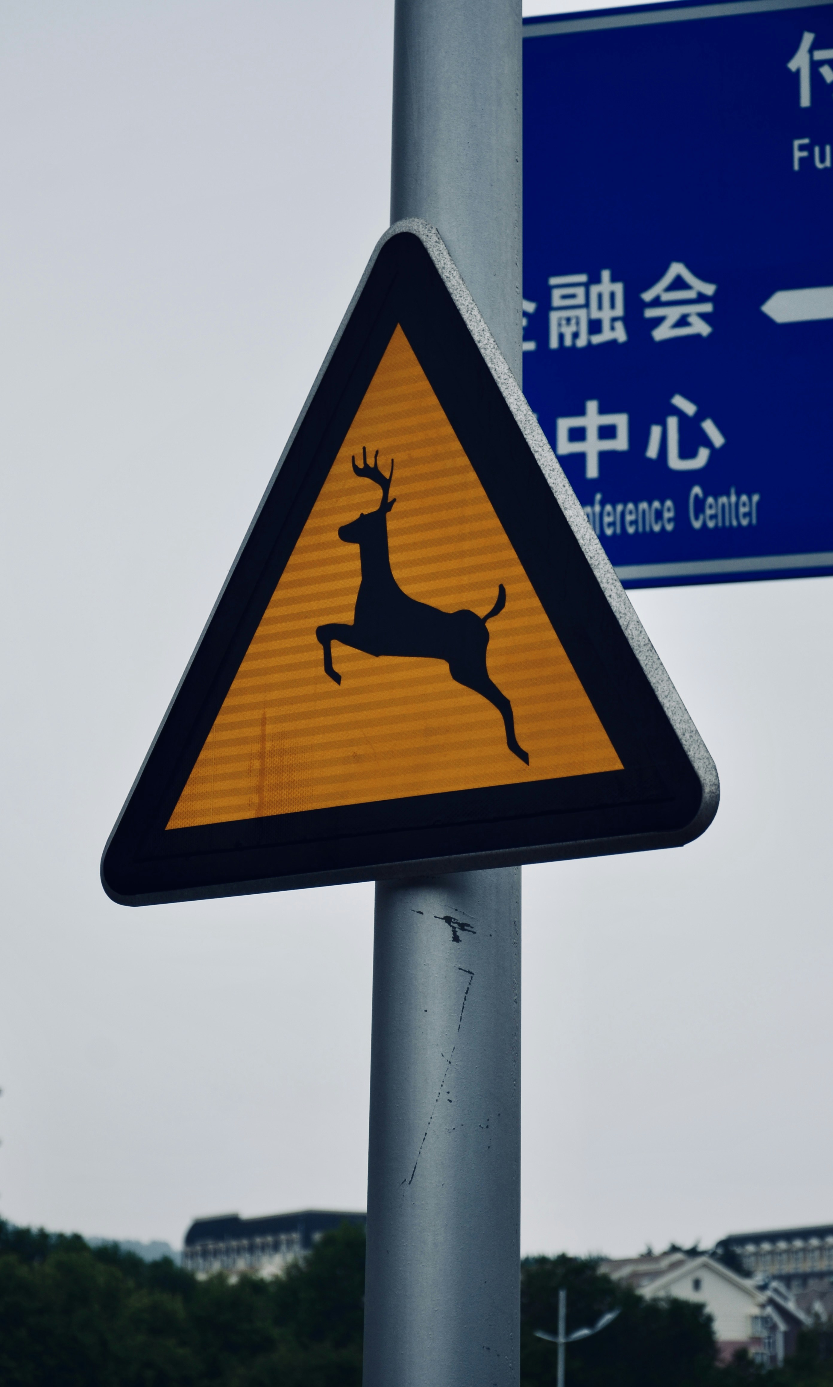 Sign of Deer🦌