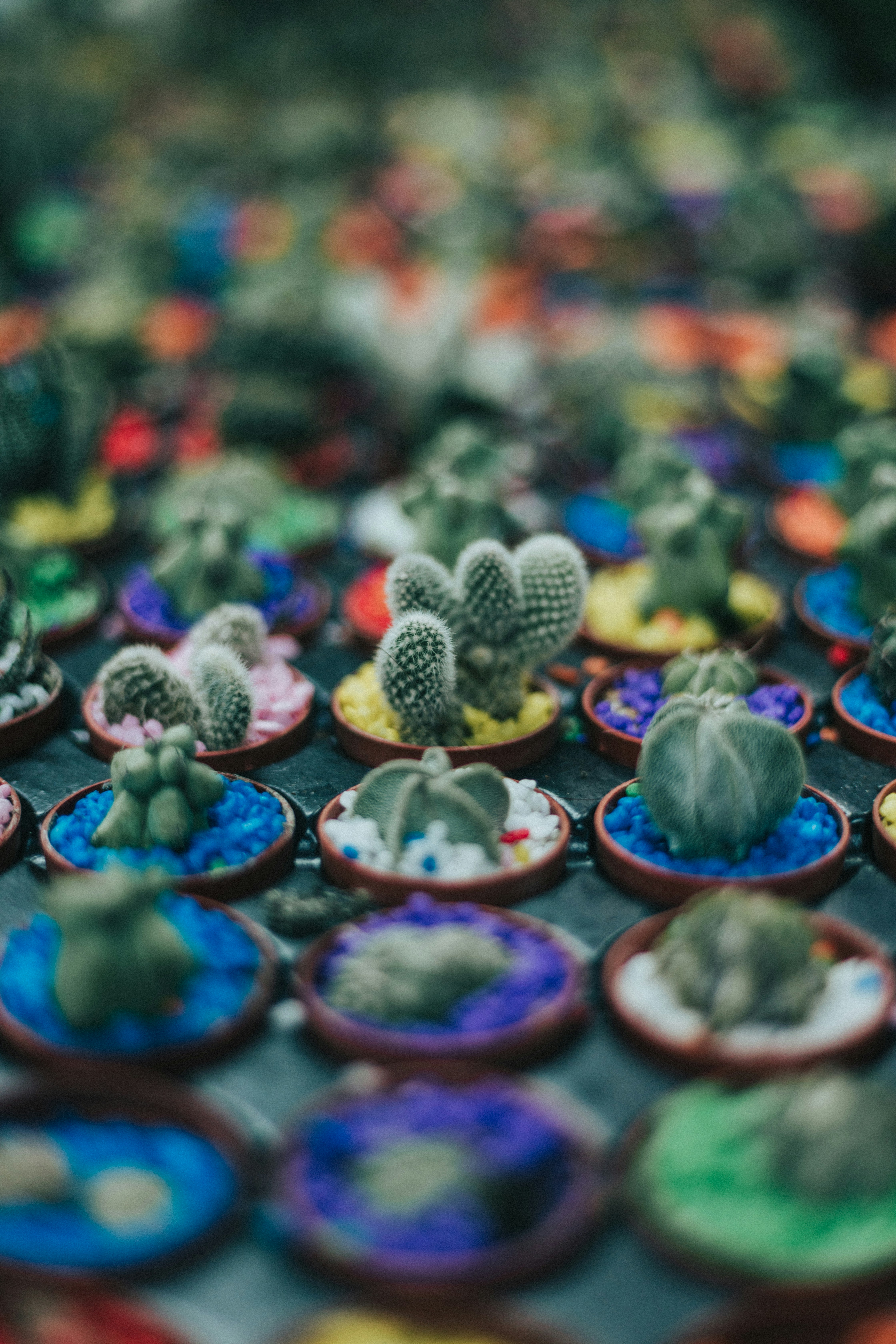 A group of colorful round objects photo – Free Icing Image on Unsplash