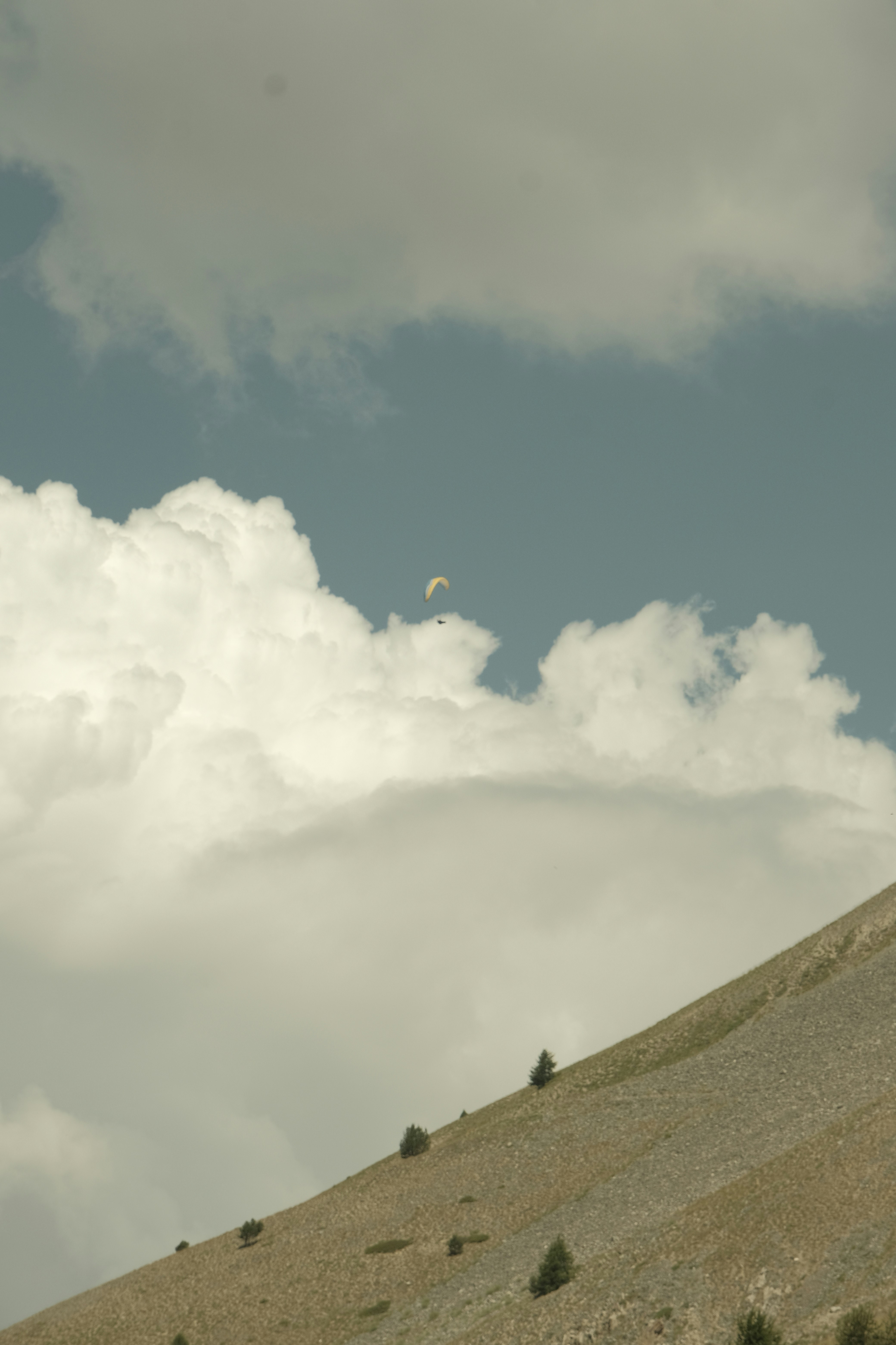 a person flying a kite